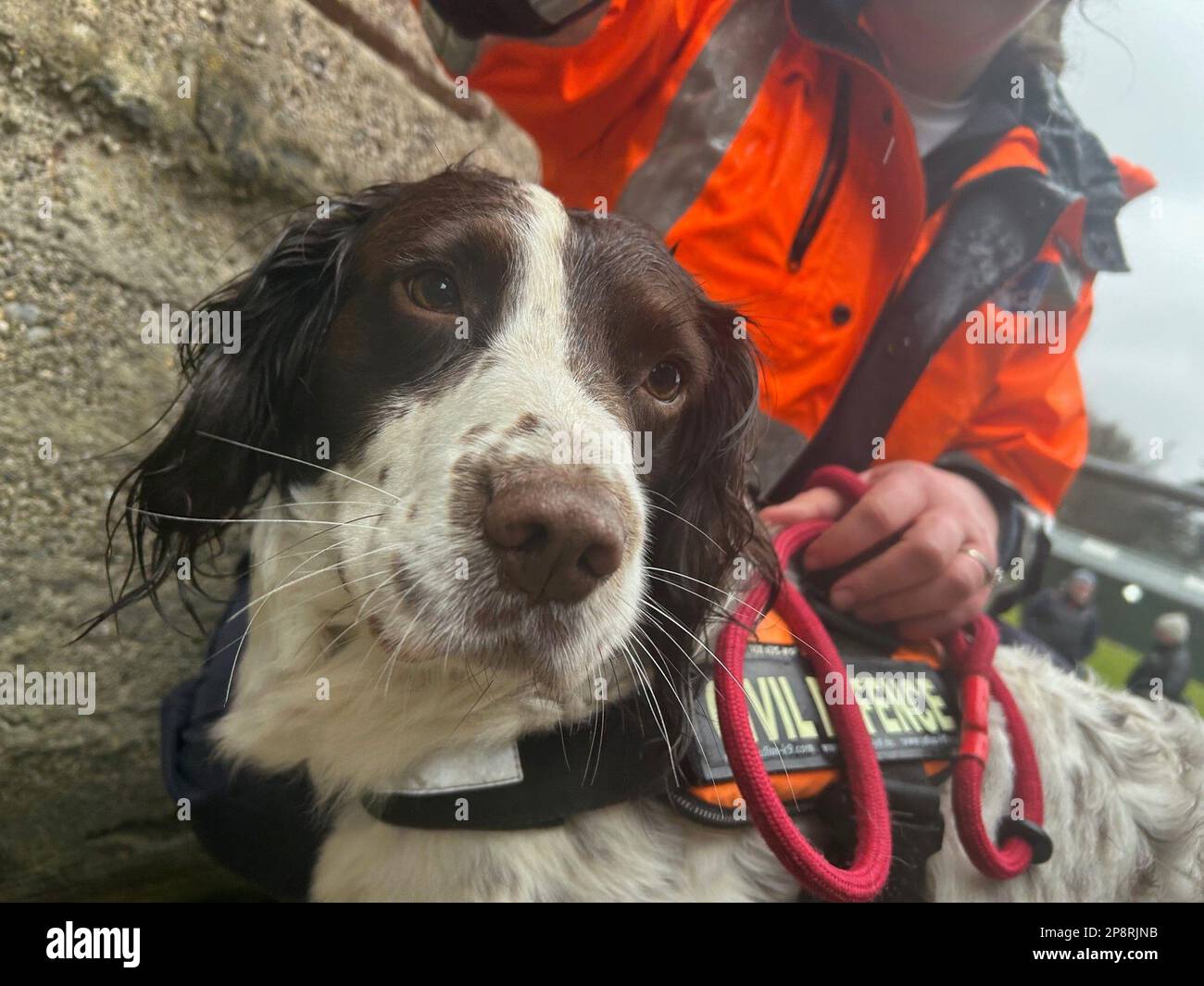 First female civil defence dog hi-res stock photography and images - Alamy