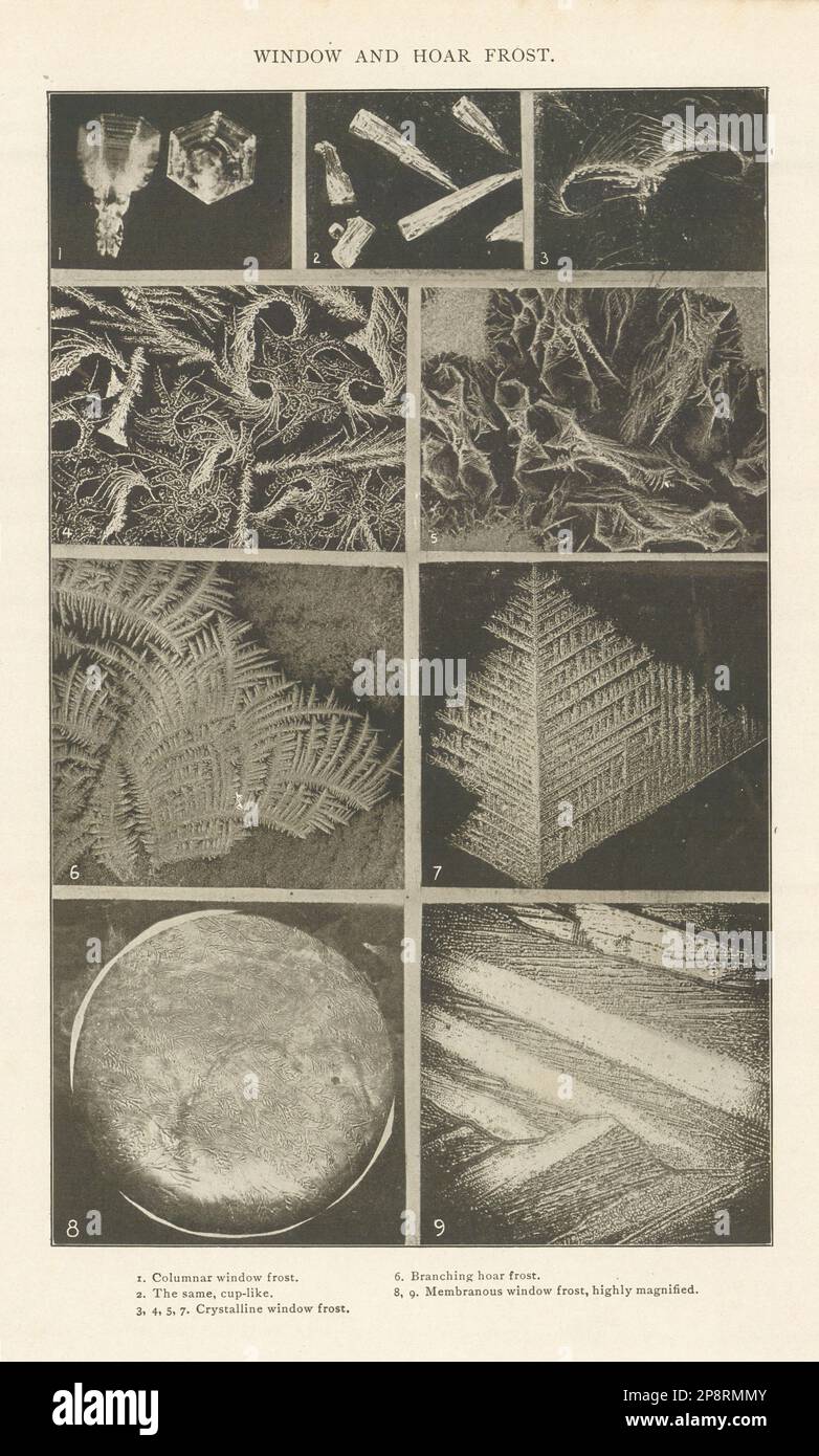 WINDOW & HOAR FROST. Columnar Crystalline Branching Membranous 1907 old ...
