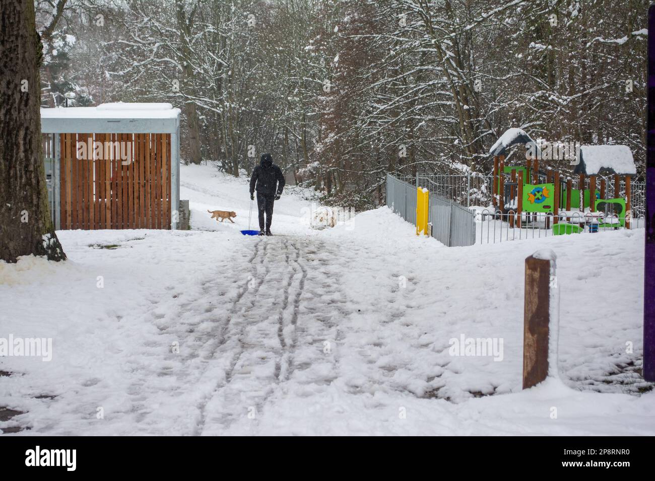 Newtown, Wales, 09/03/2023, Heavy snowfall in Newtown Mid Wales today ...