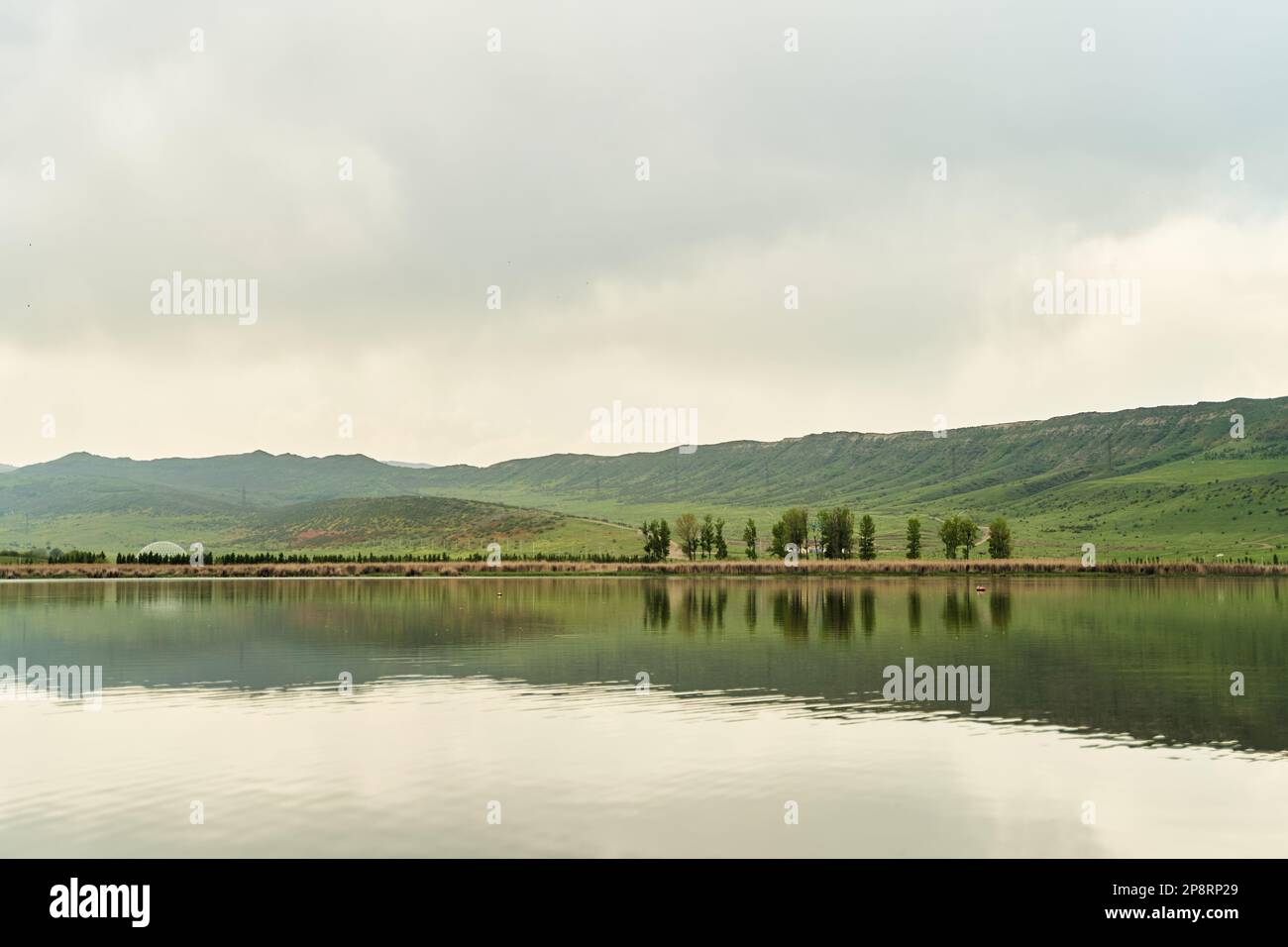 View of the beautiful lake Lisi. Lisi Park in Tbilisi, Georgia Stock ...