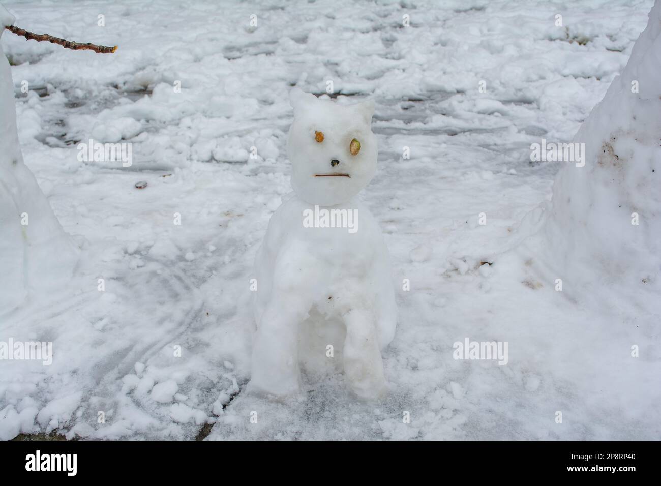 Newtown, Wales, 09/03/2023, Heavy snowfall in Newtown Mid Wales today ...