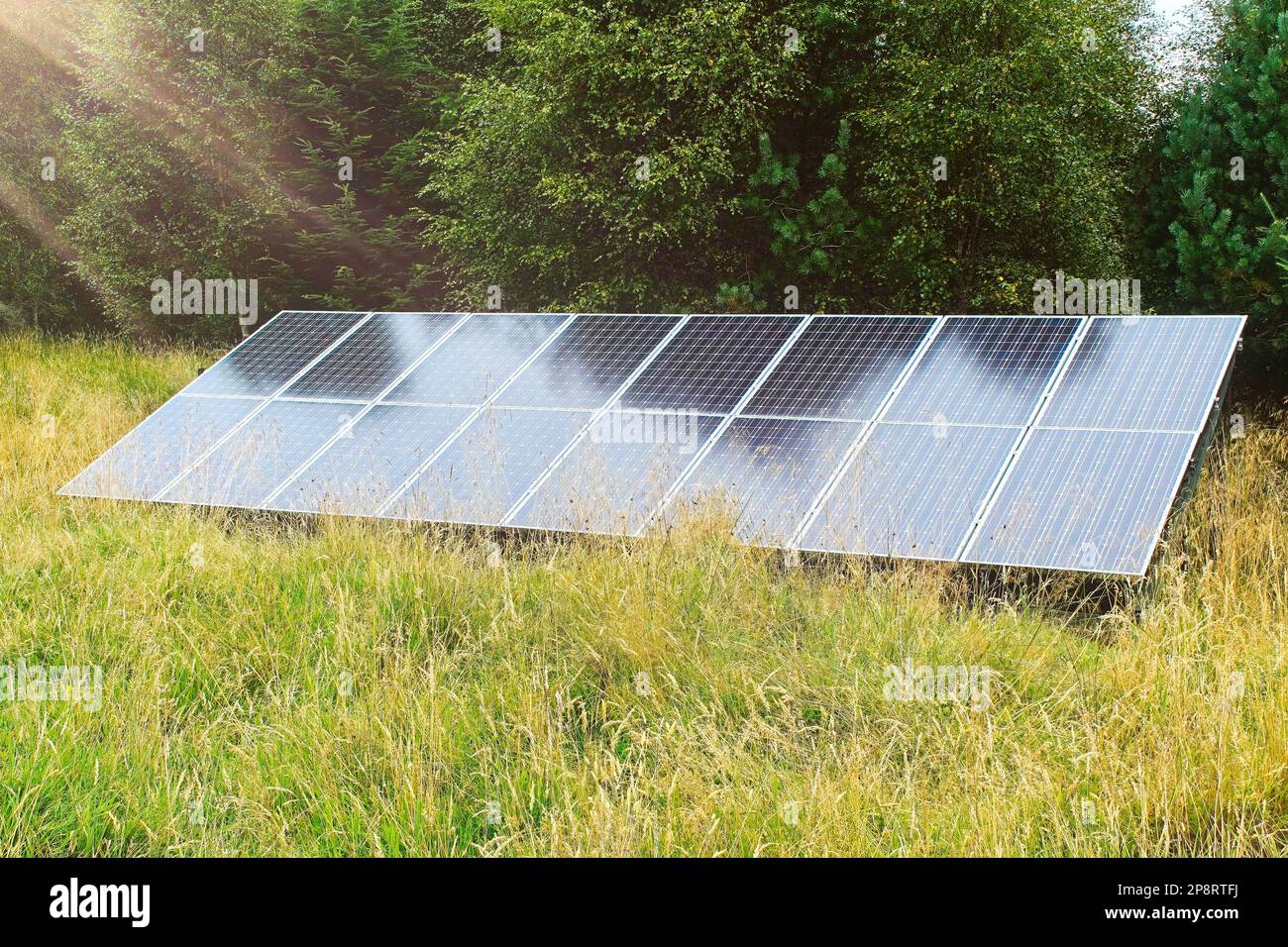 Ground array of Solor panels placed in front of bushes and surrounded ...