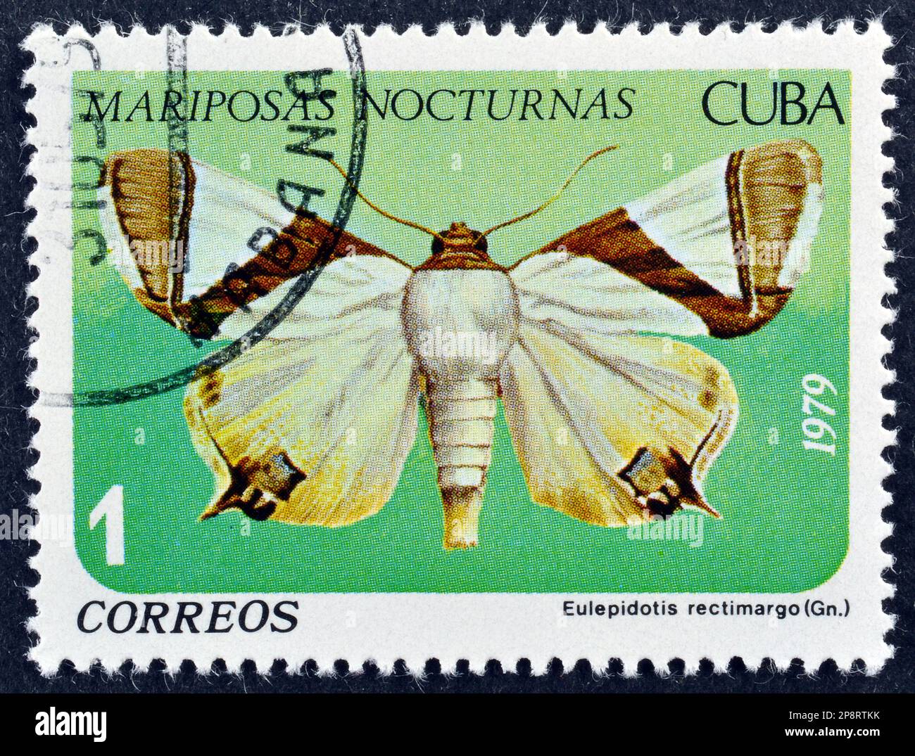 Cancelled postage stamp printed by Cuba, that shows Moth (Eulepidotis ...