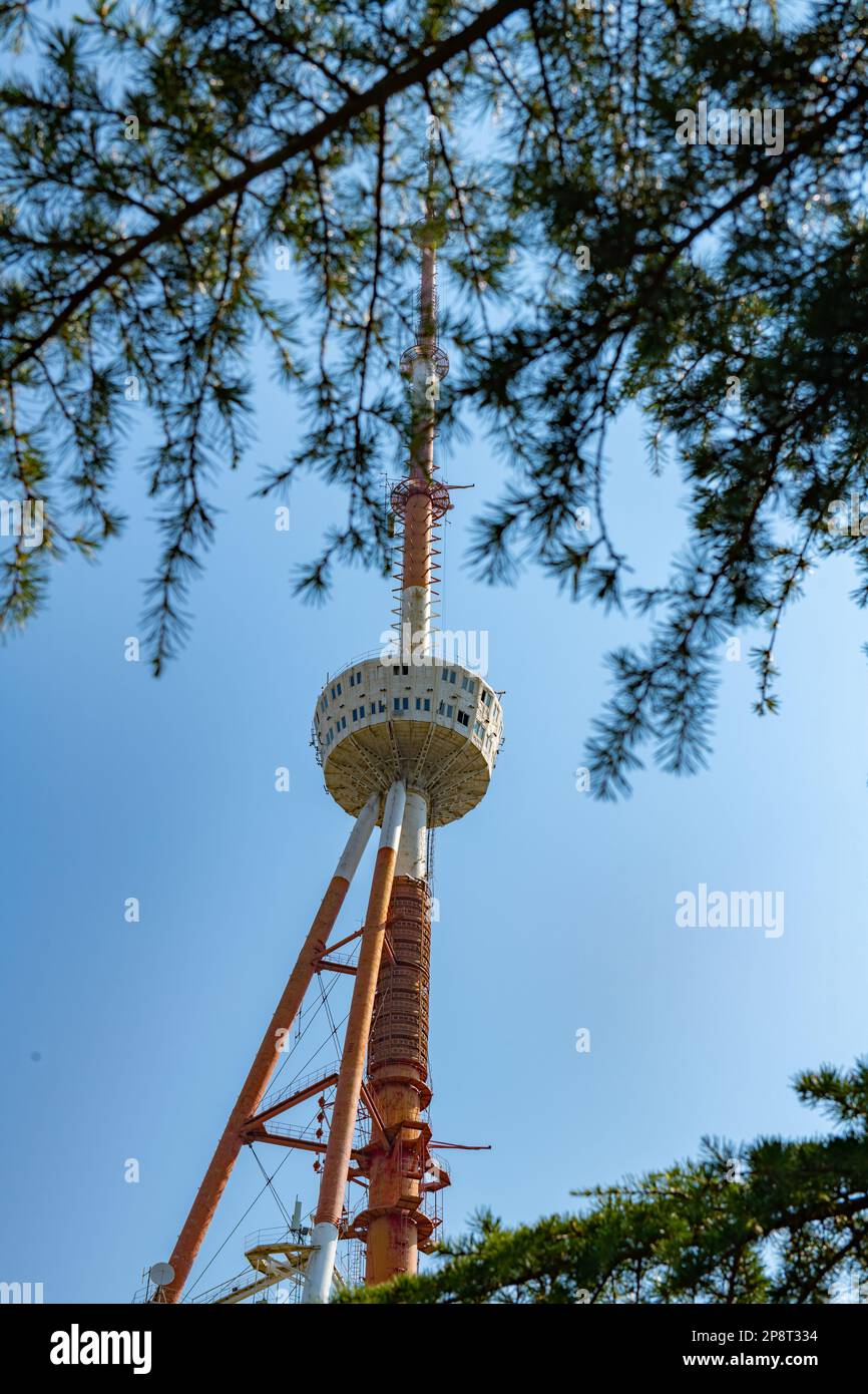 strange high-rise tower view through the trees Stock Photo - Alamy
