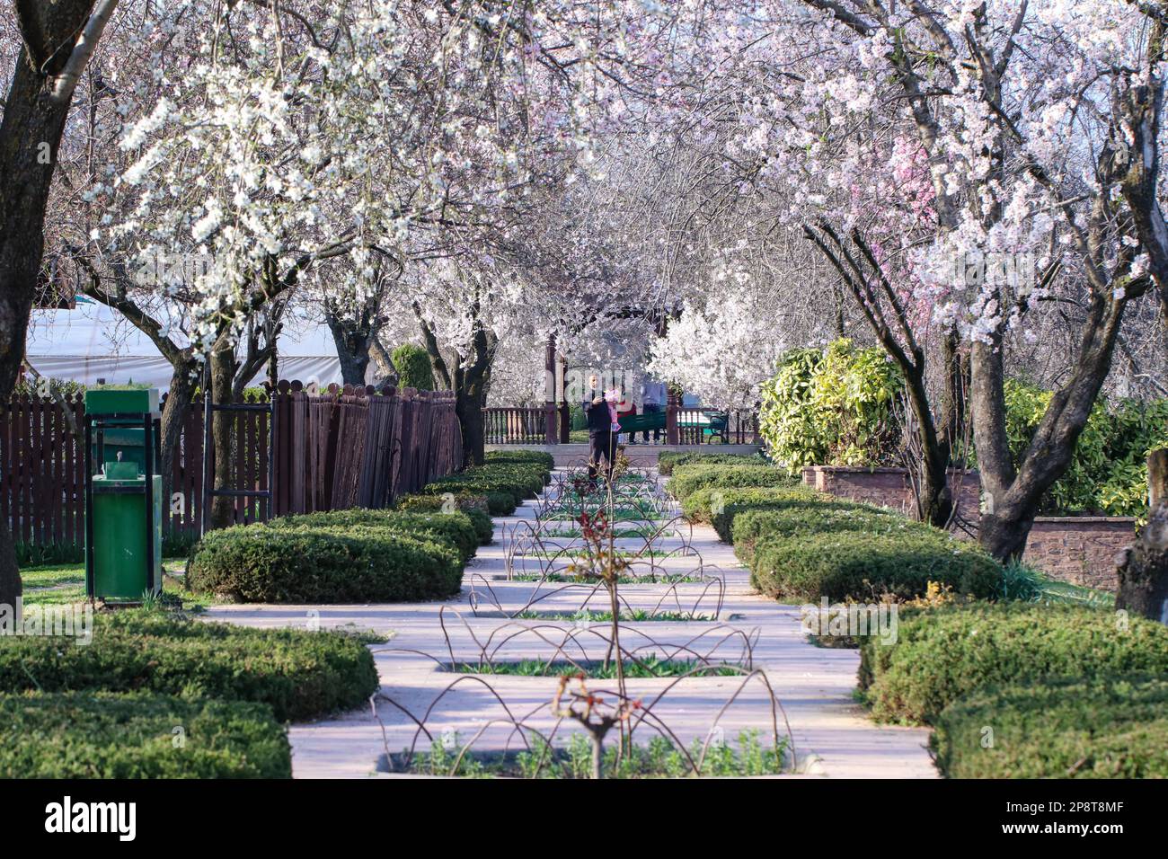 March 9, 2023, Srinagar, Jammu and Kashmir, India: Visitors walk under ...