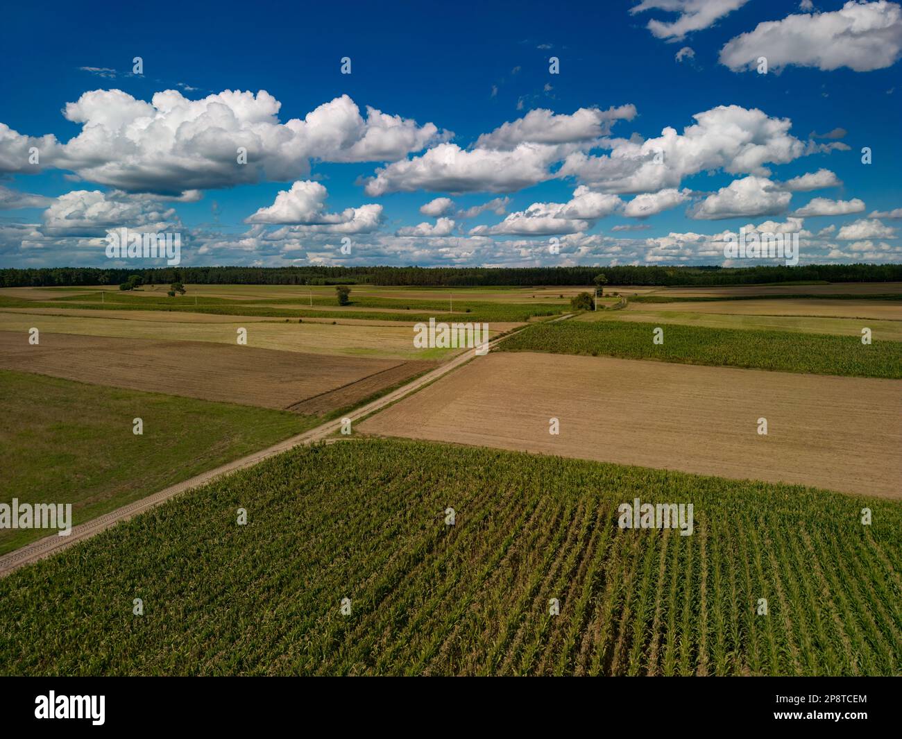 aerial view of country in Poland Stock Photo - Alamy