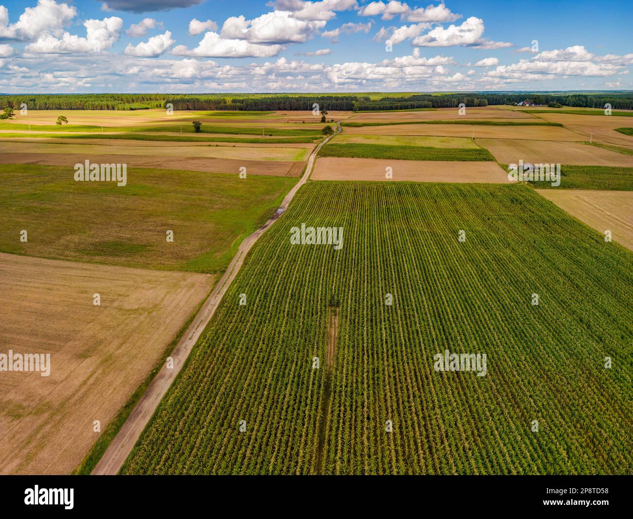 aerial view of country in Poland Stock Photo - Alamy