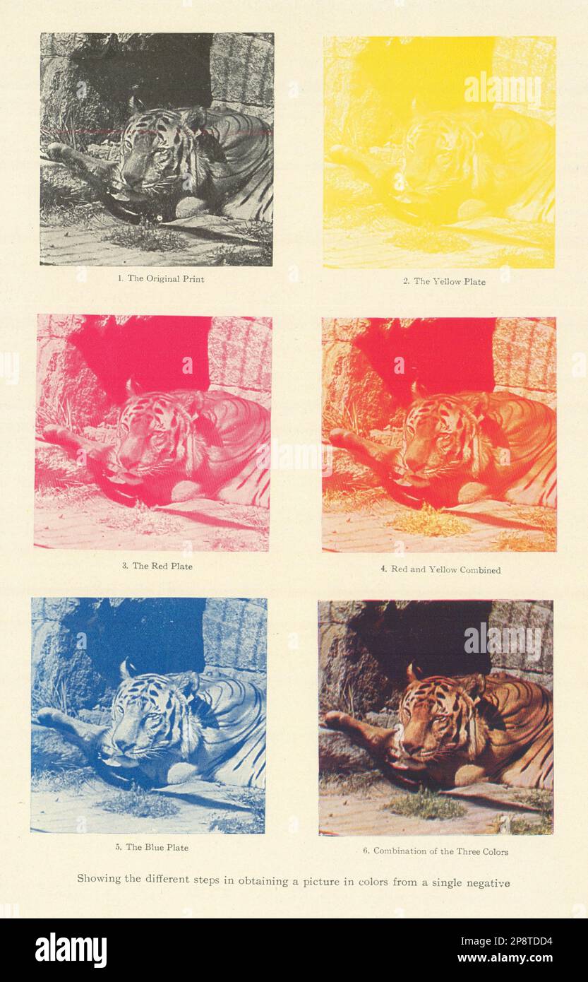 Colour picture from three plates. Negative Yellow Red Blue Combined ...