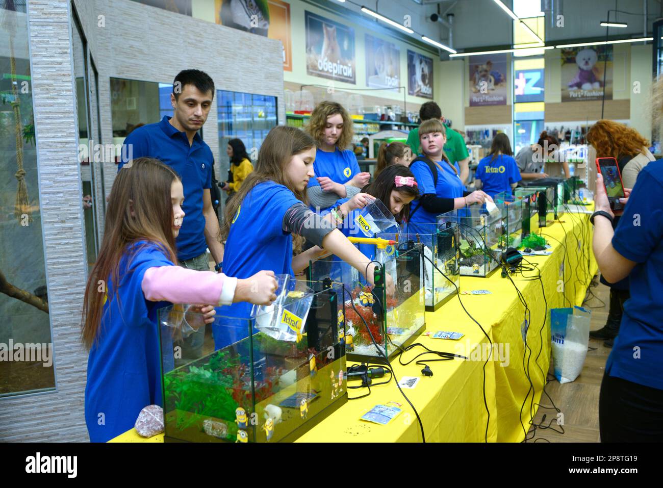 Lesson of aquarium husbandry. Girls students arranging decorations in ...