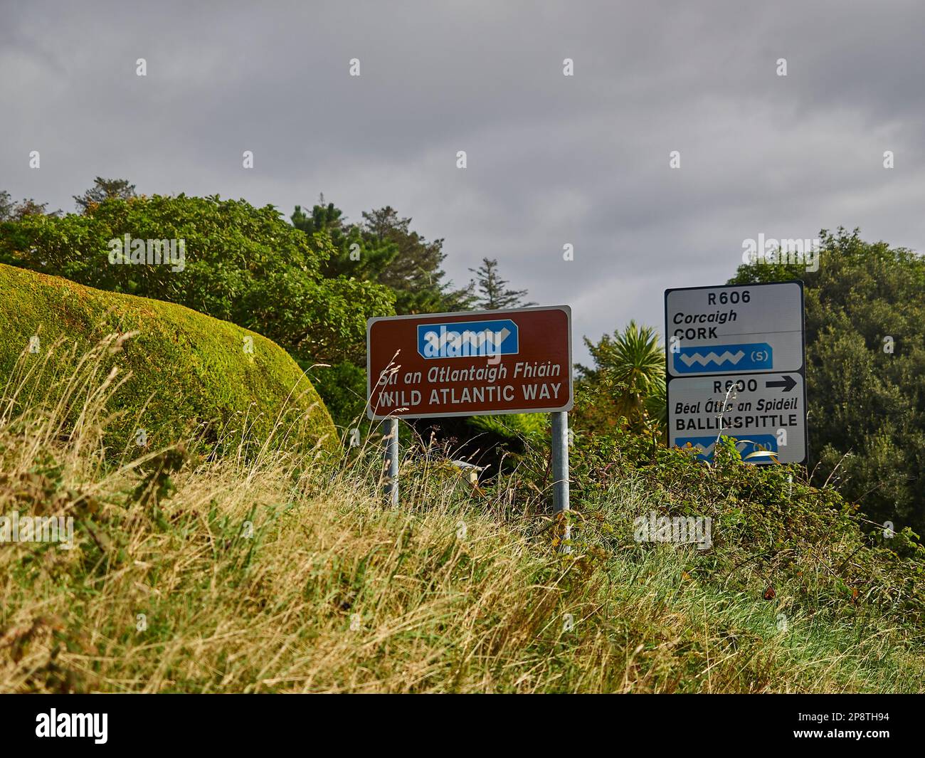 road sign of the wild atlantic way along the west coast of Ireland on ...