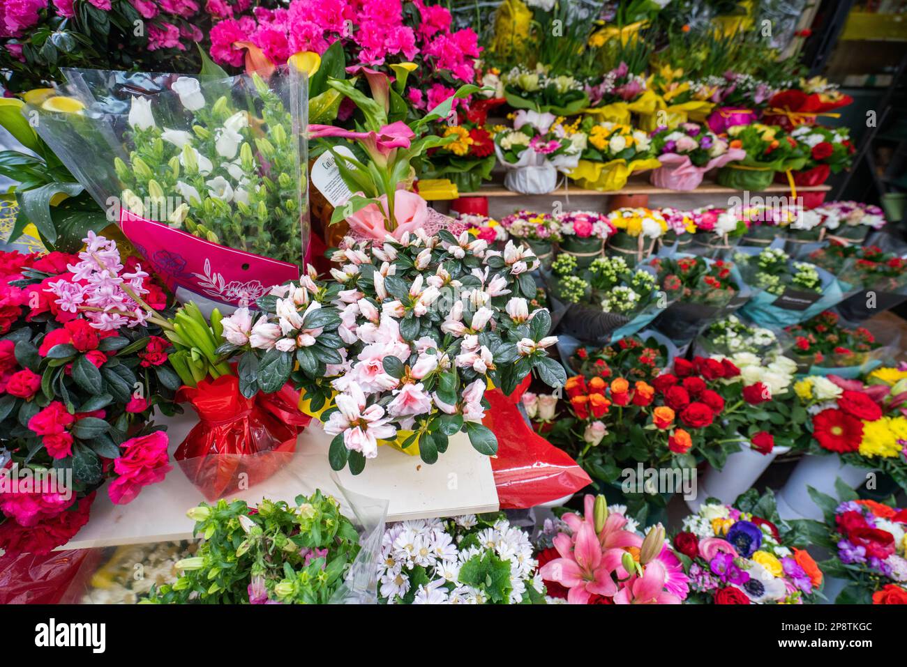 Display of flowers outside a florist shop in Rome, Italy Stock Photo ...