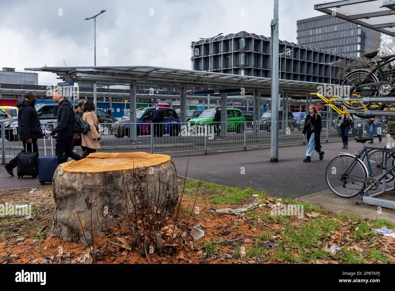 London, UK. 7th March, 2023. Members of the public pass the stump of a ...