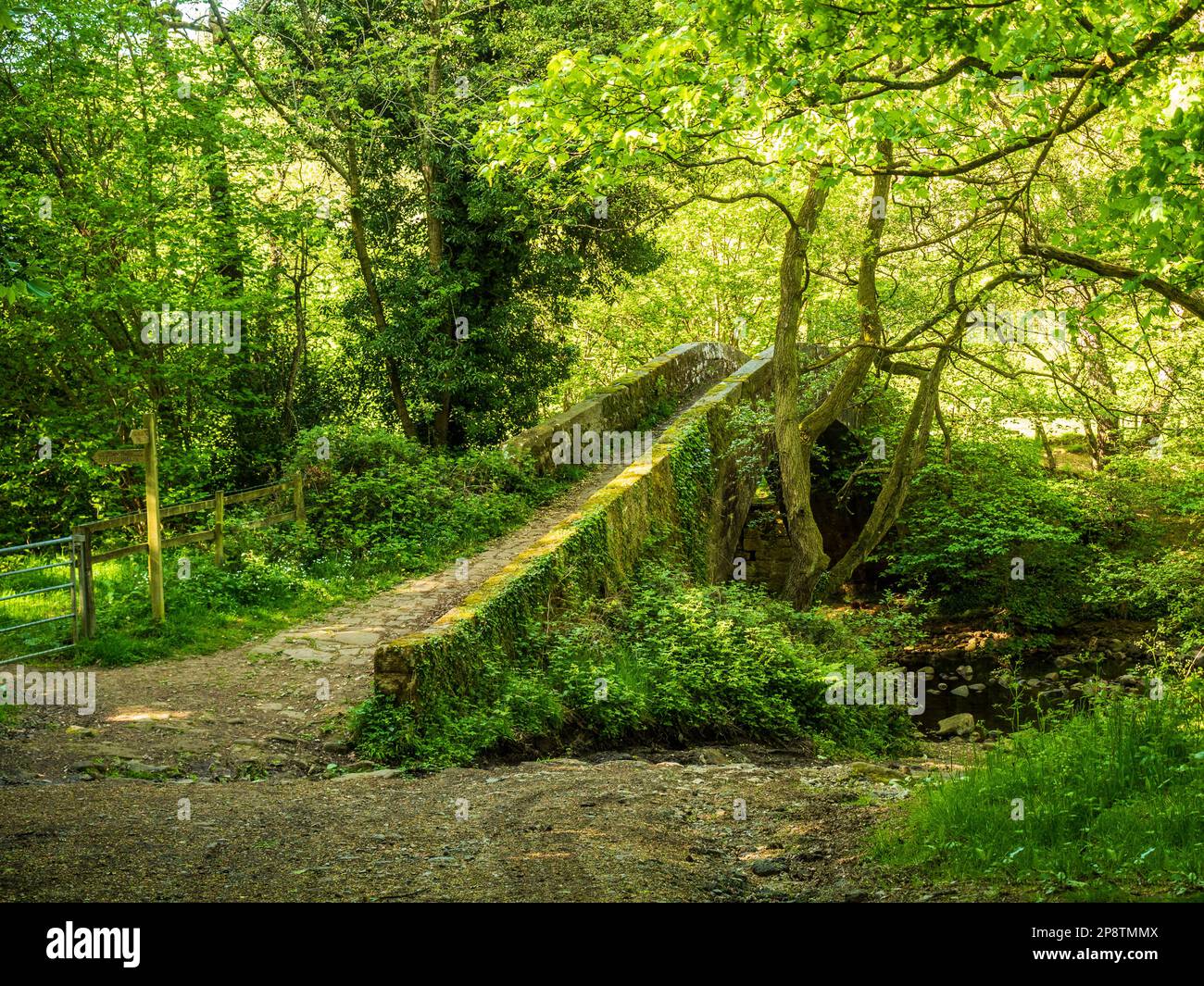 An old pack horse bridge crosses the river Washburn in a secluded ...