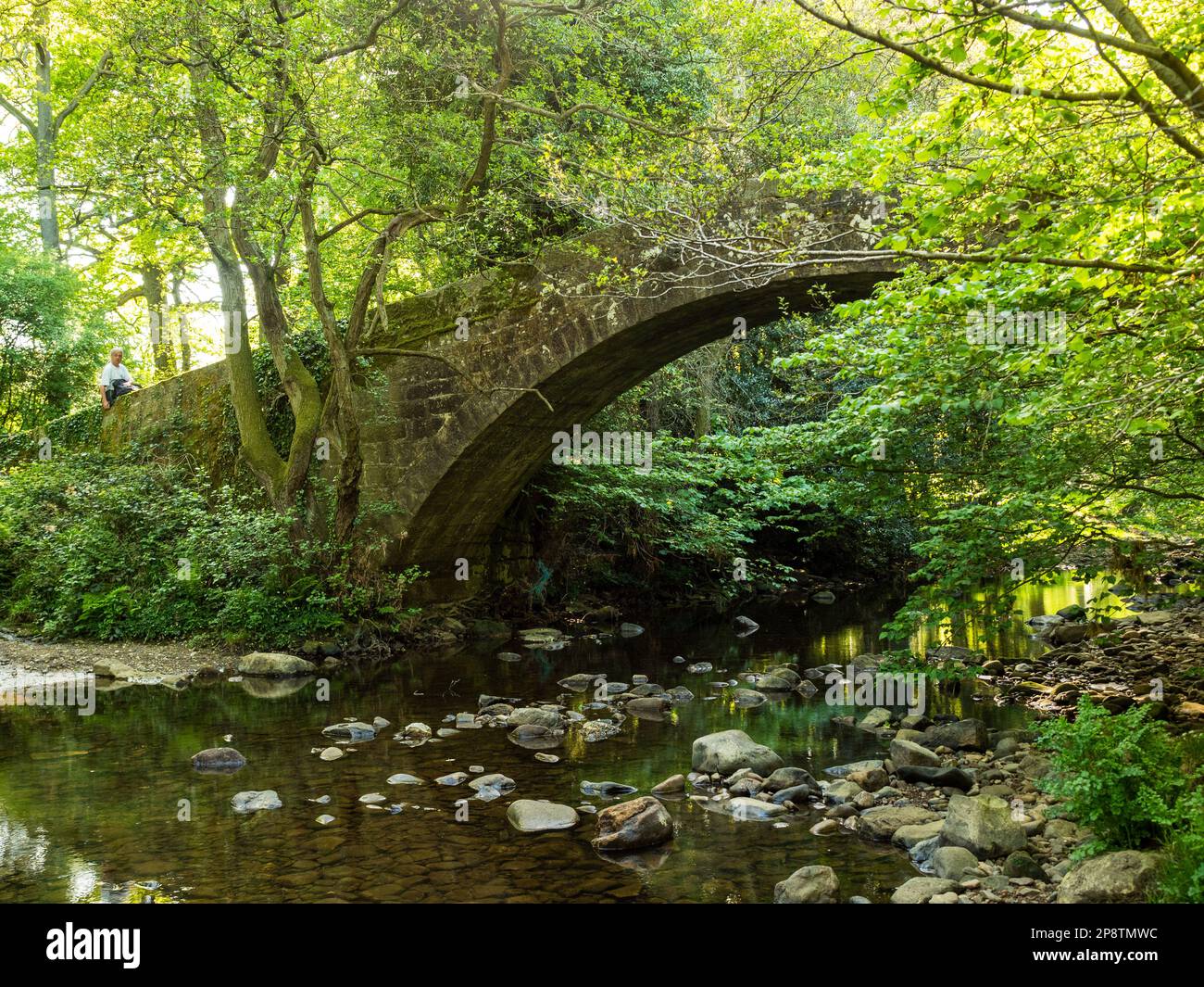 An old pack horse bridge crosses the river Washburn in a secluded ...