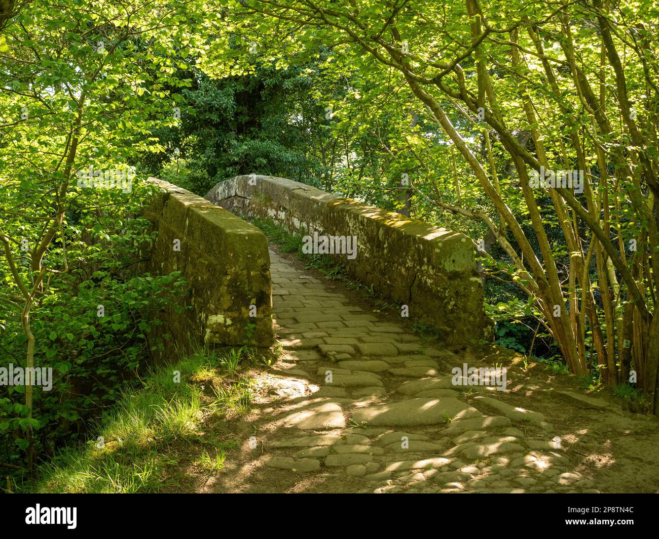 An old pack horse bridge crosses the river Washburn in a secluded ...