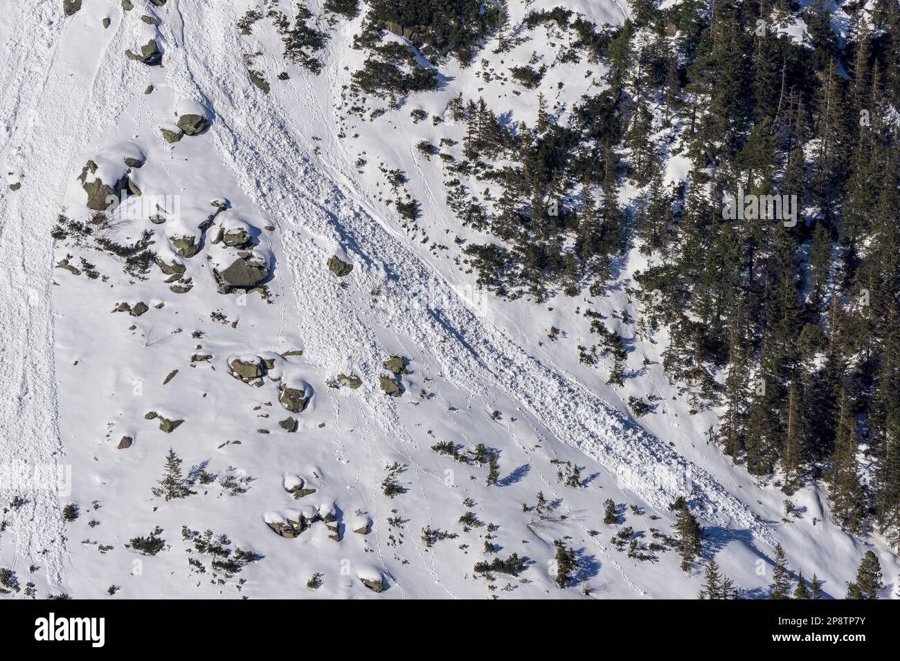Avalanche area. View from the trail to the Valley of Five Polish Ponds ...
