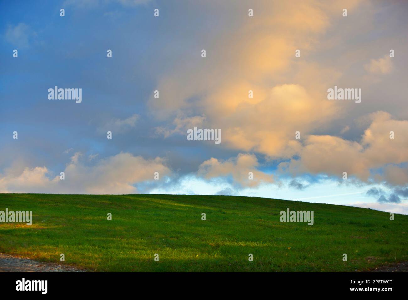 Beautiful spring hillside Stock Photo - Alamy