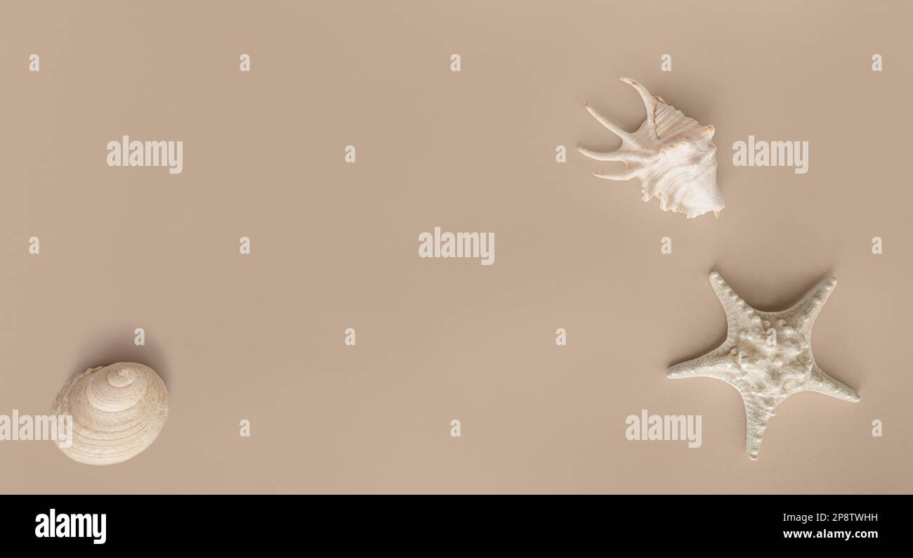 Summer marine neutral stationery, desktop mock-up scene. Blank greeting ...