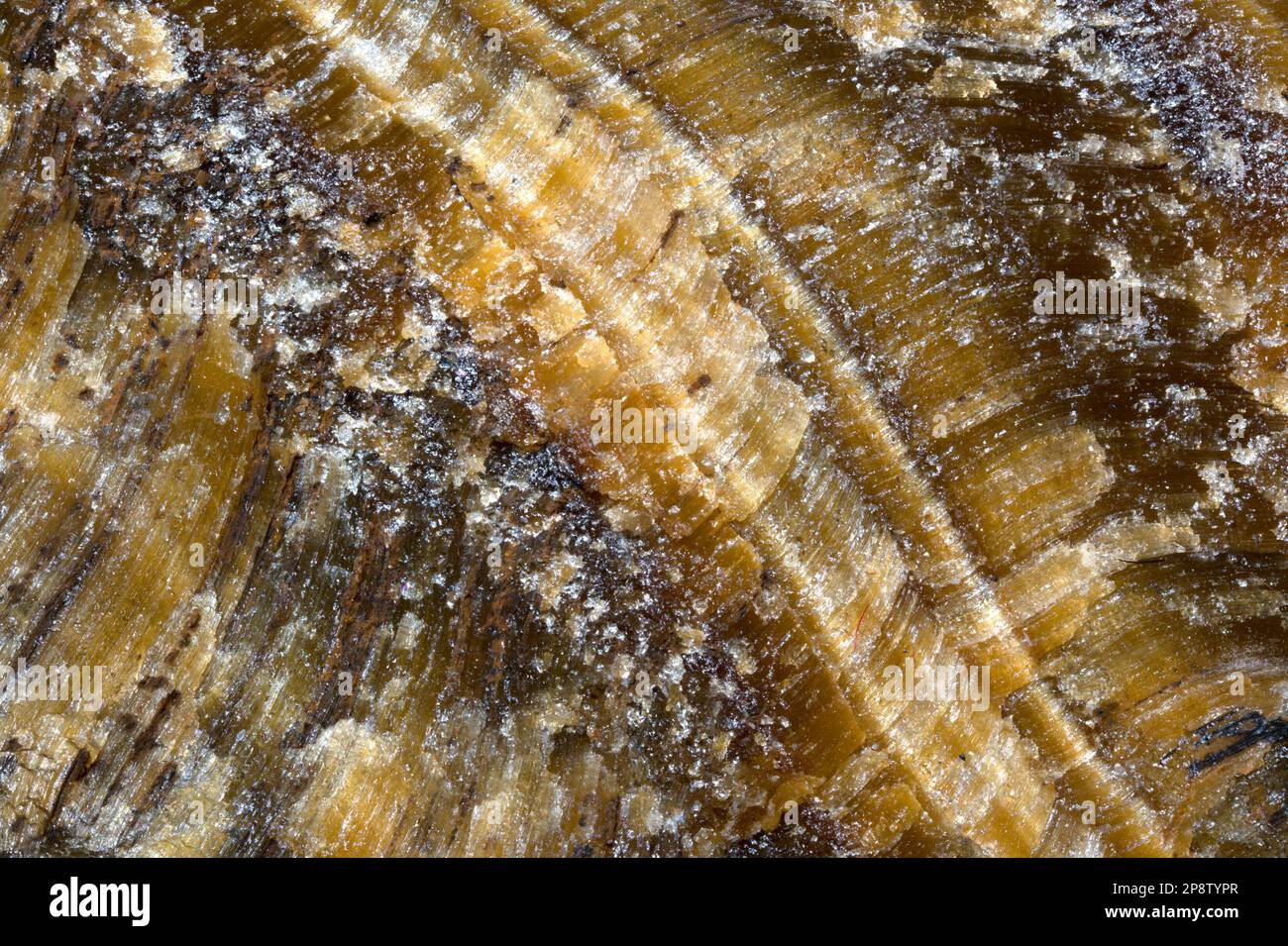 Cats eye quartz hi-res stock photography and images - Alamy