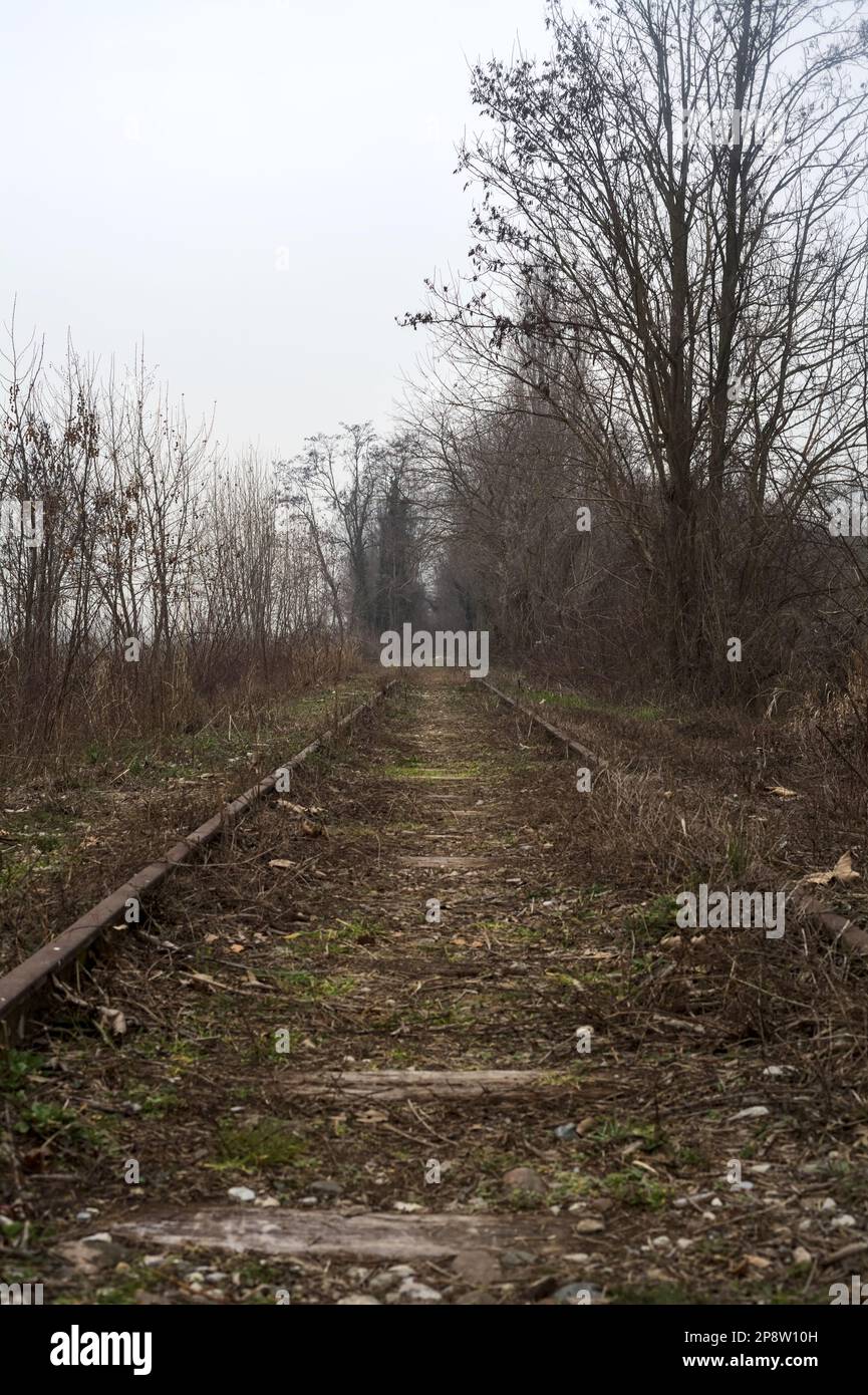 Abandoned railroad track bordered by trees and plant in the italian ...