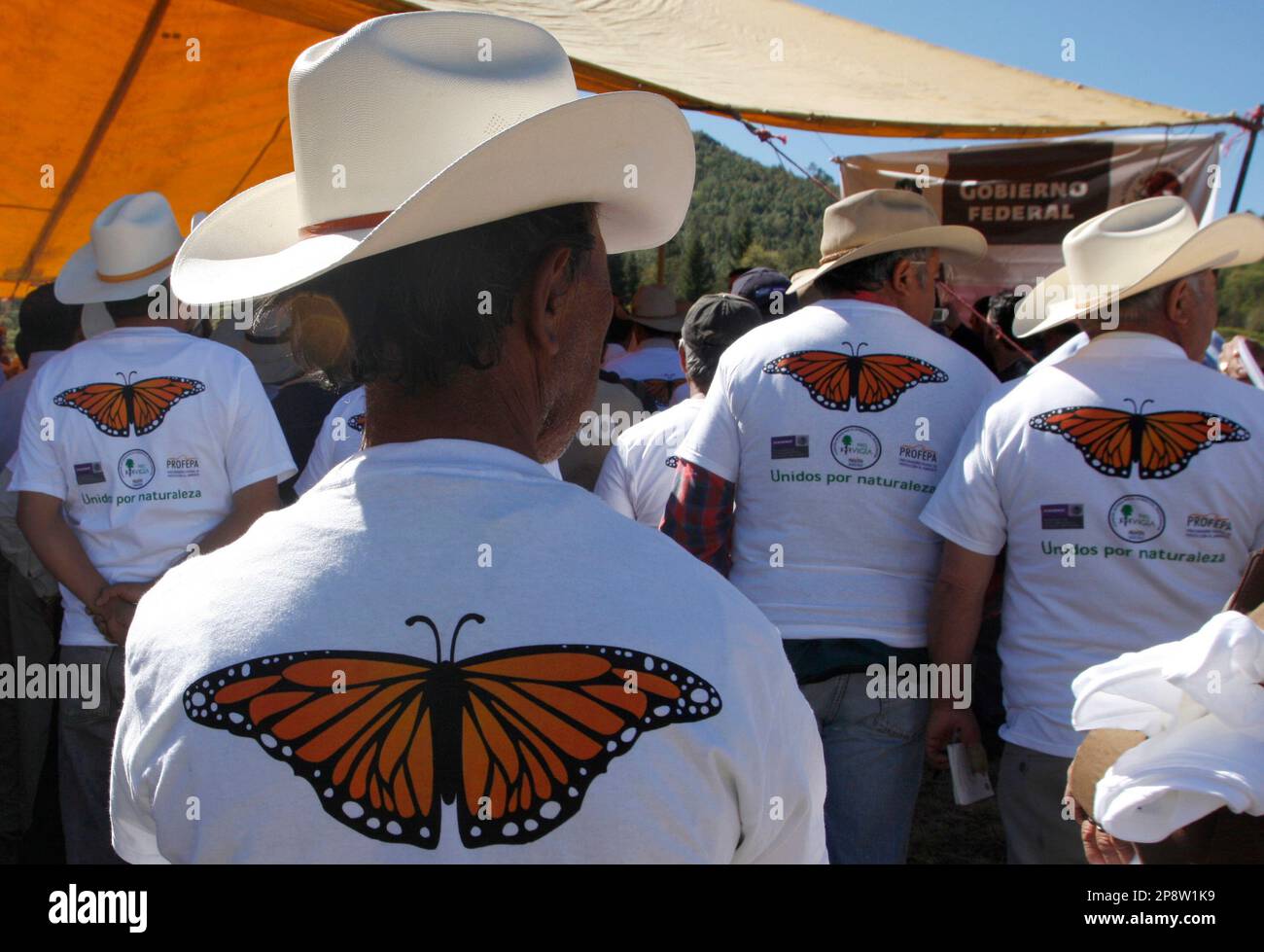 Villagers in charge of protecting the Monarch Butterflies gather for a ...