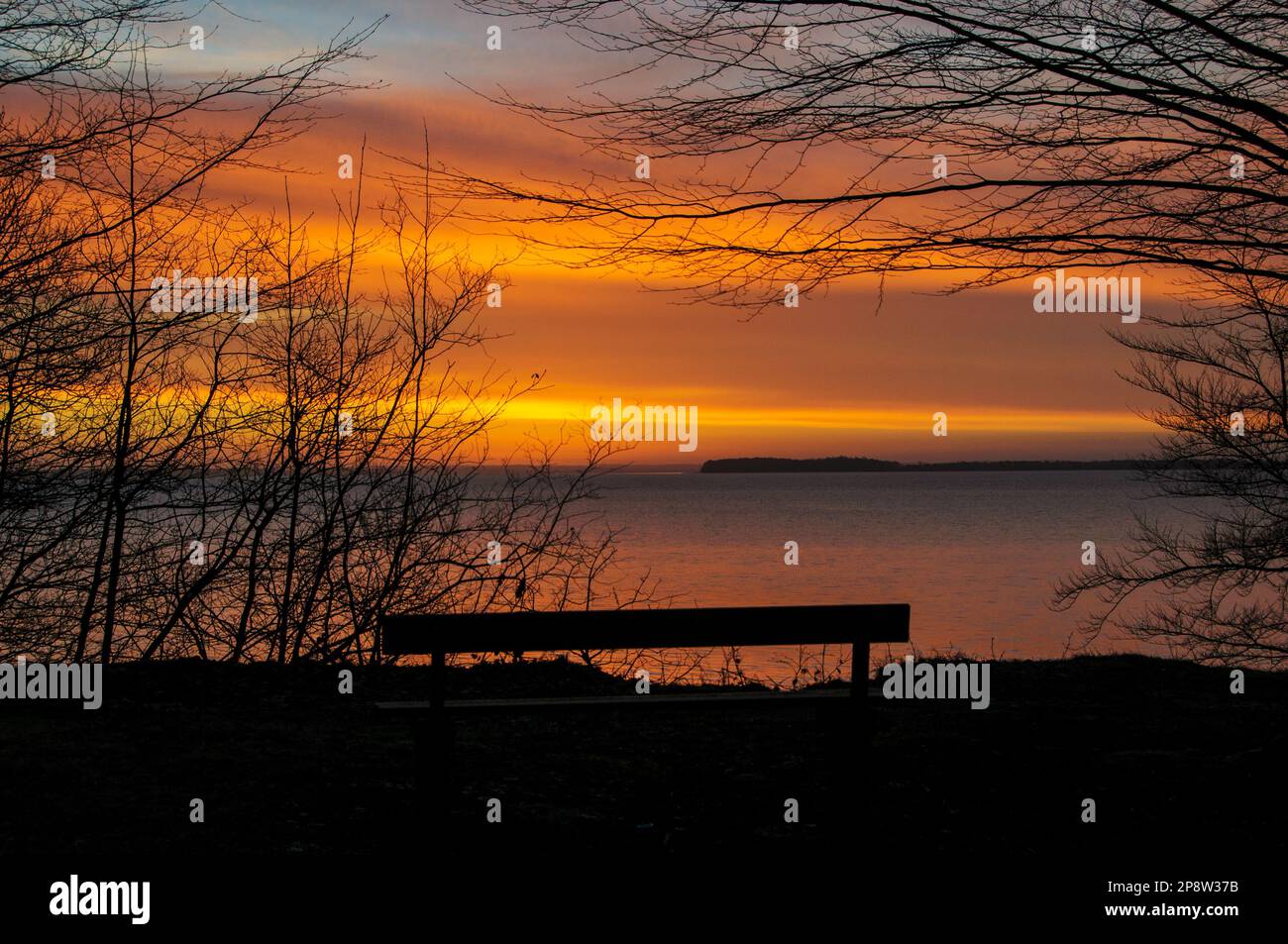 A beautiful fiery sunset seen through tree branches and a bench on the ...