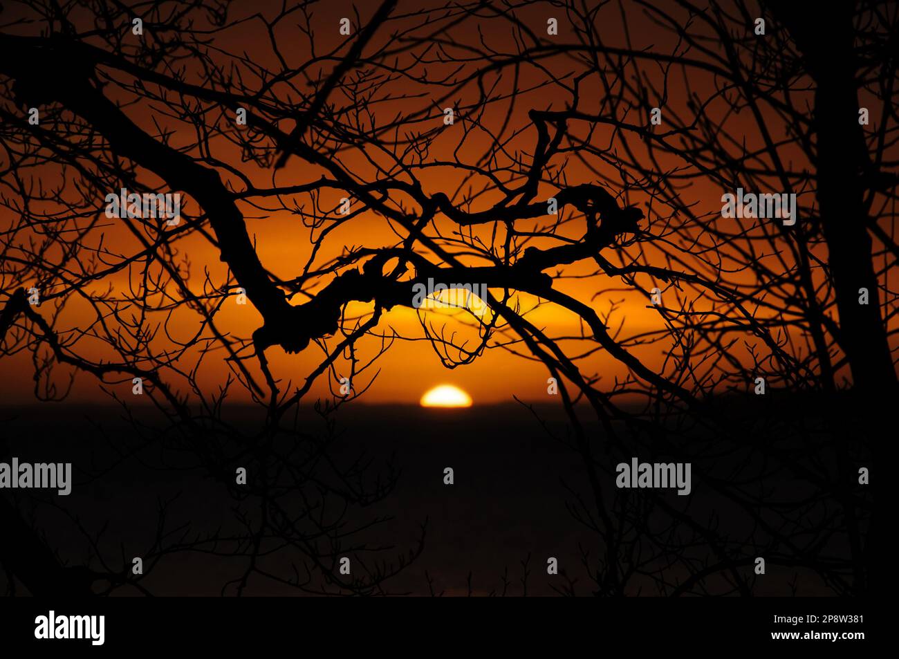 A beautiful fiery sunset seen through tree branches Stock Photo - Alamy