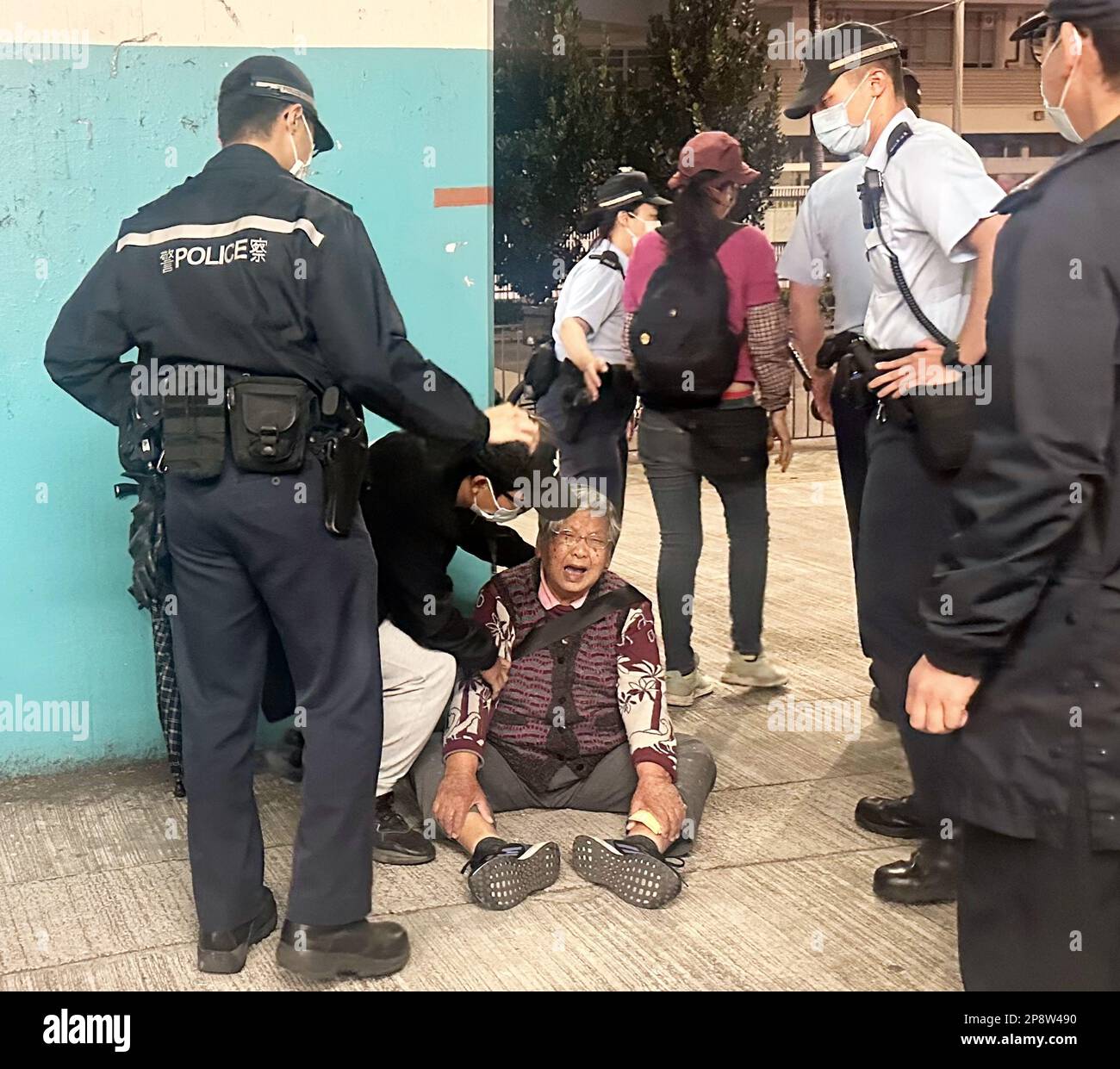 A 90-year-old licensed street hawker Chan Tak-ching had her roast ...