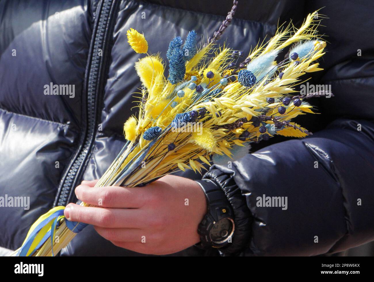 Non Exclusive: DNIPRO, UKRAINE - MARCH 9, 2023 - A man holds a blue and ...