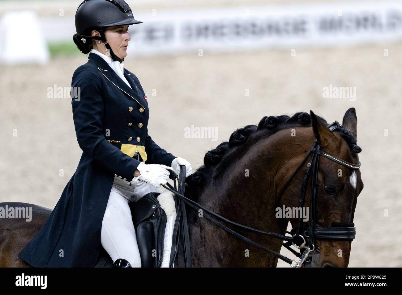 Dierensport hi-res stock photography and images - Alamy