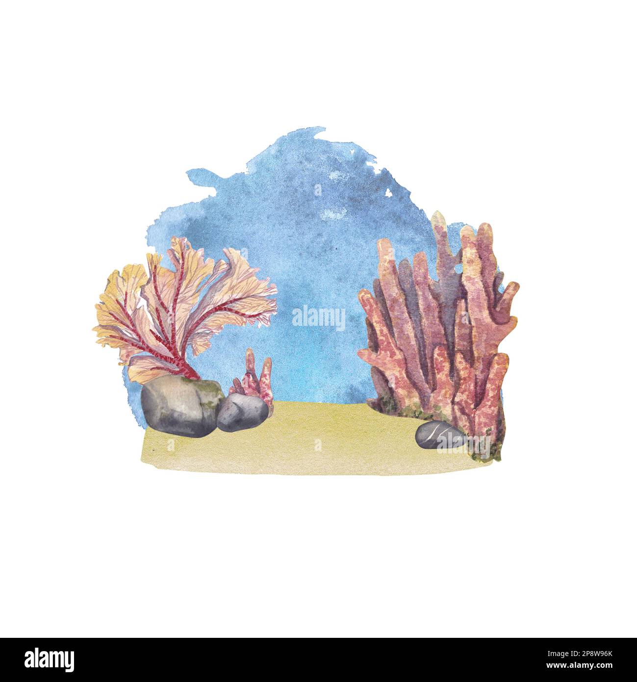 The seabed with a coral reef and beautiful stones on the background of ...