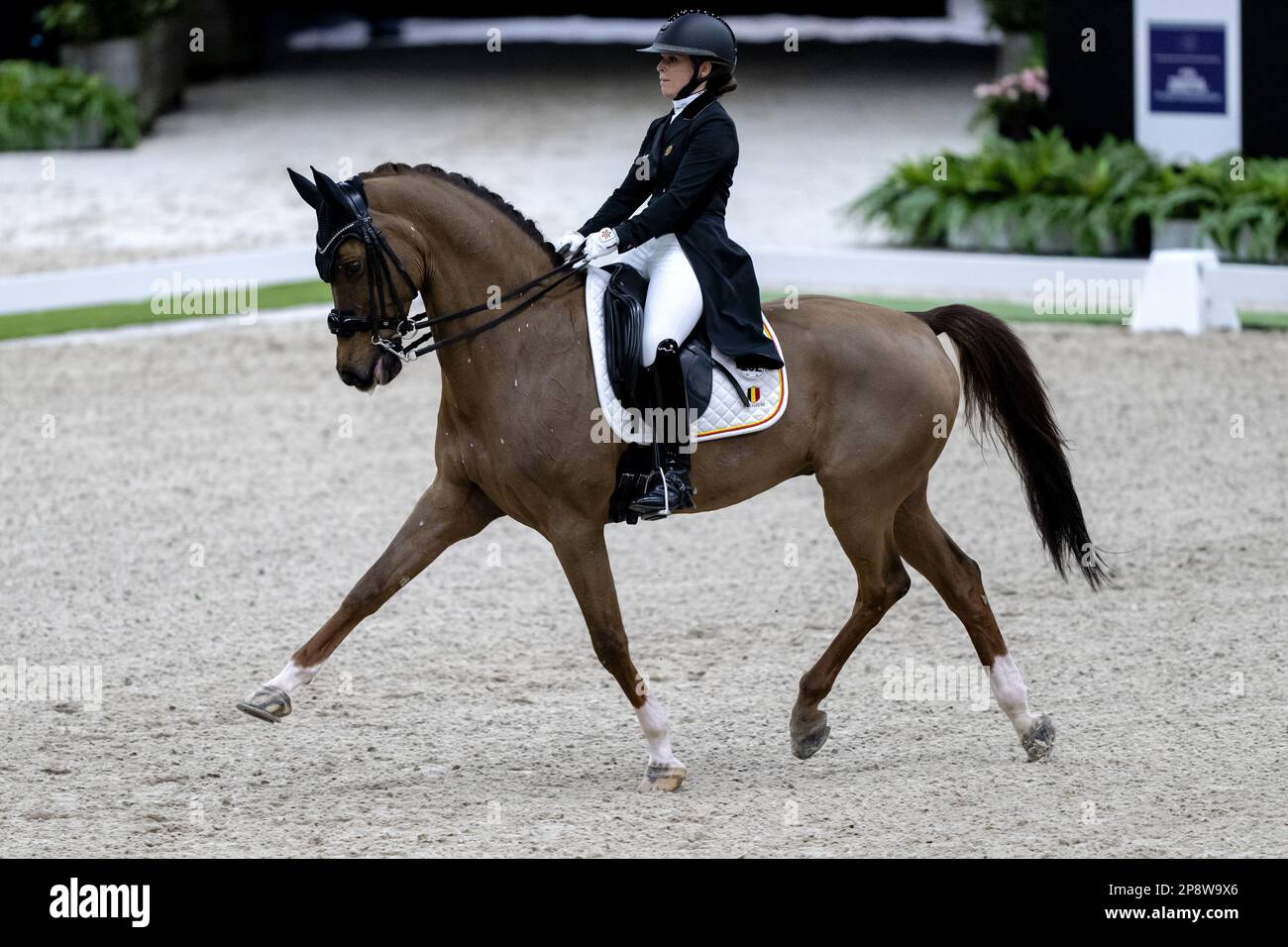 DEN BOSCH - Charlotte Defalque (BEL) on Botticelli during the World Cup ...