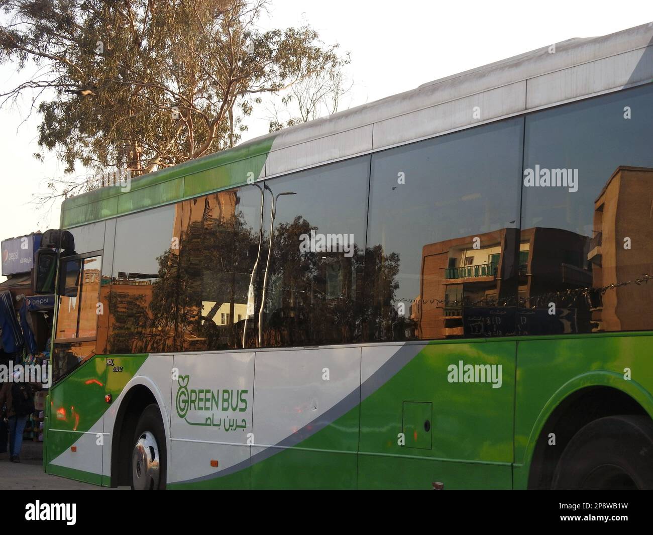 Cairo, Egypt, March 8 2023: The green bus for mass transit transporting ...