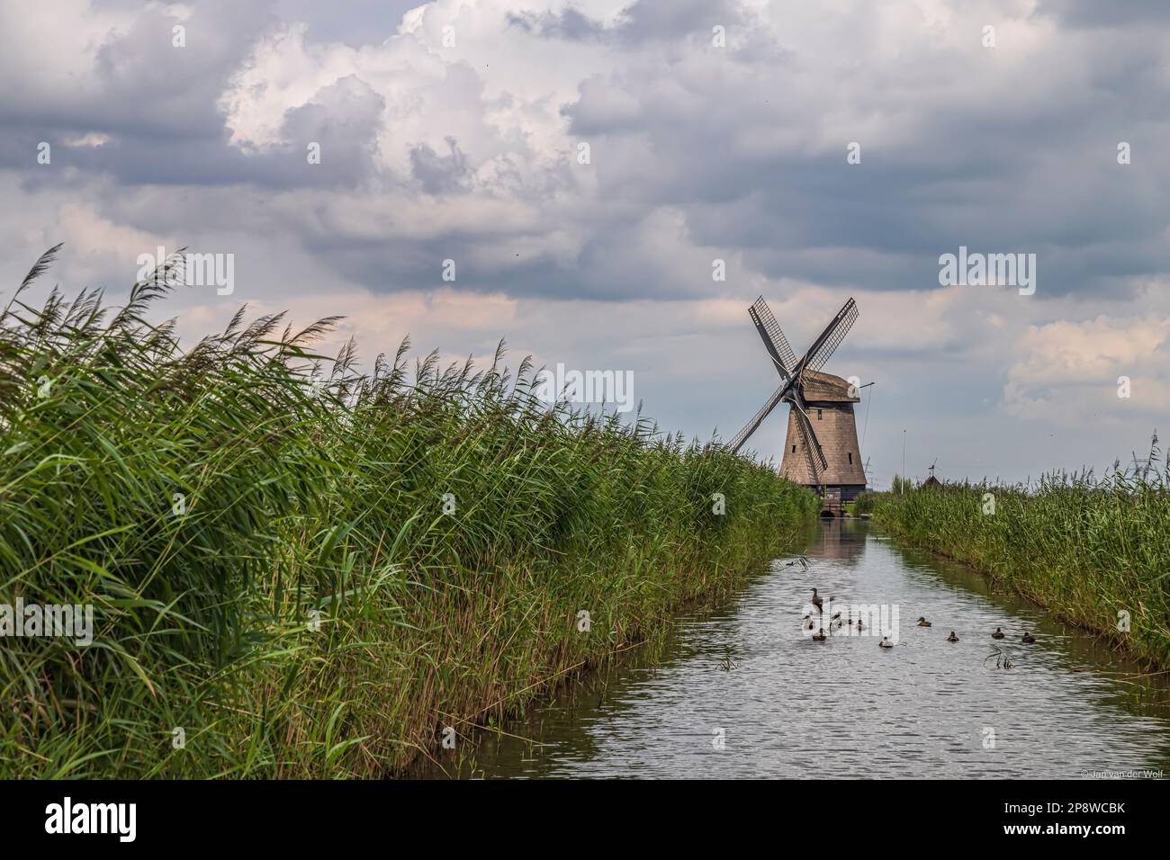 Windmill in the polder near the small Dutch village of Stompetoren ...