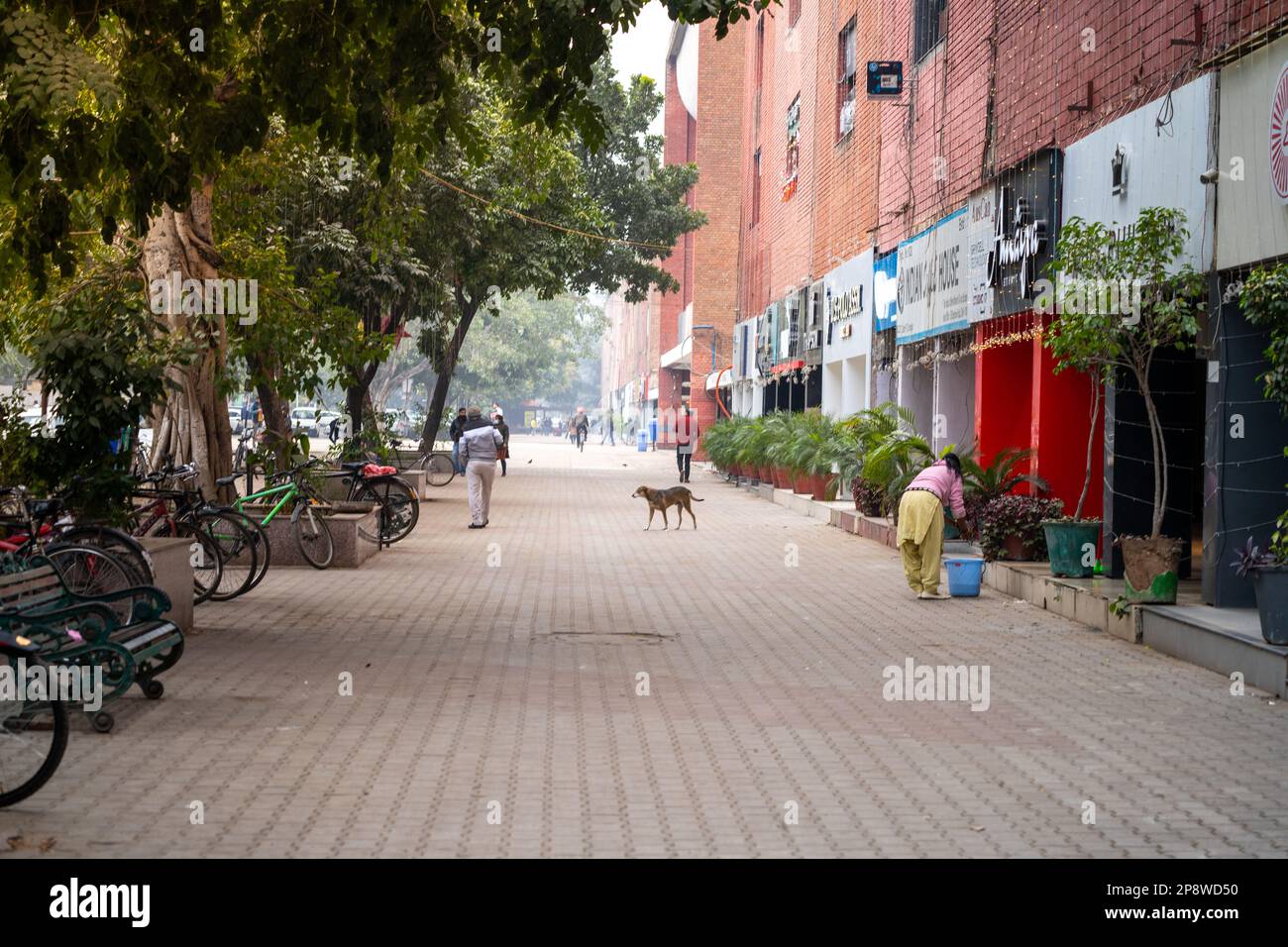 early morning scenes in sector 17 market chandigarh showing people ...