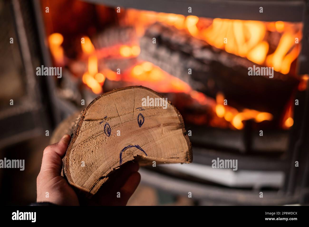 Rise in price of firewood for heating concept. Hand holds log with sad ...