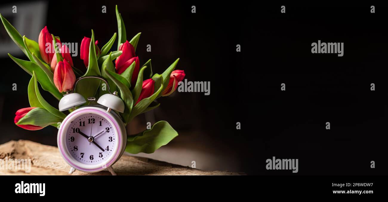 Tulips and alarm clock. Time as gift, greeting card, onset of spring ...