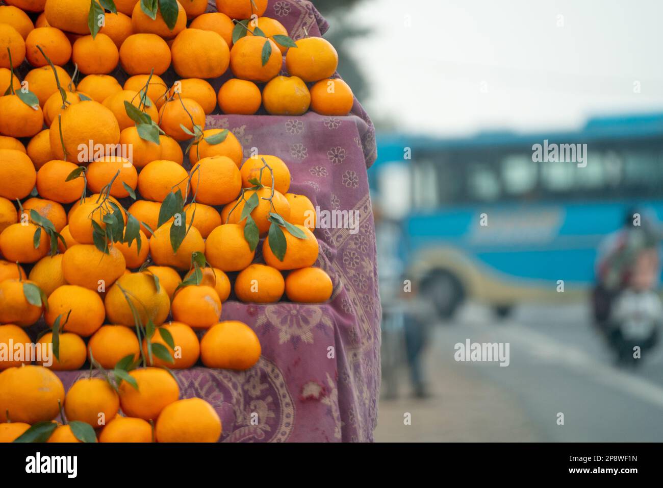 oranges kinnu citrus fruit piled up at a roadside stall showing how ...