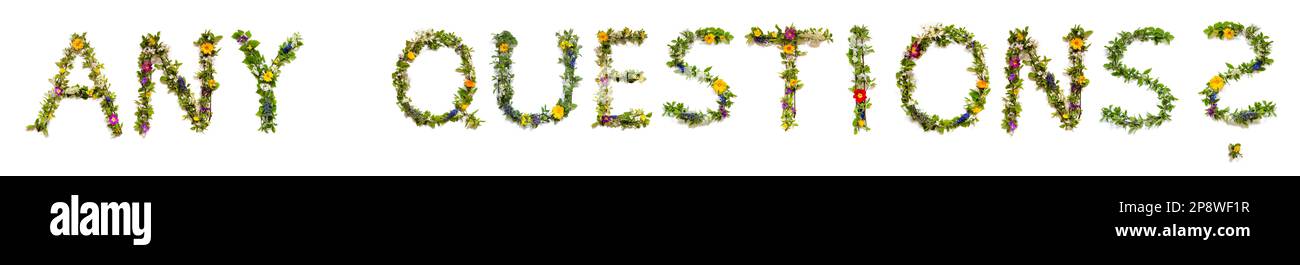 Colorful Blooming Flower Letters Building Word Any Questions Stock ...