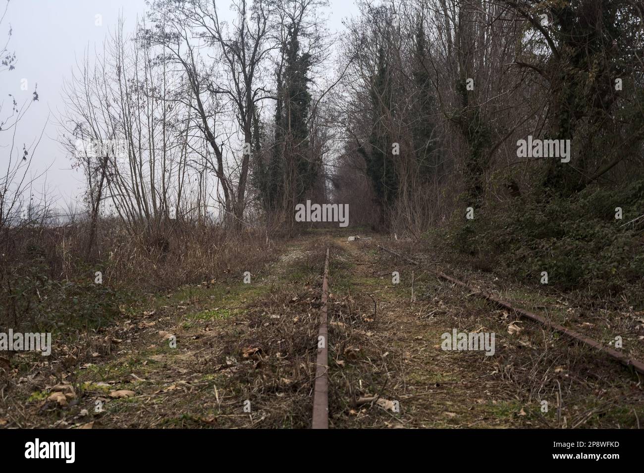 Dead end in a grove of an abandoned railroad track in the italian ...