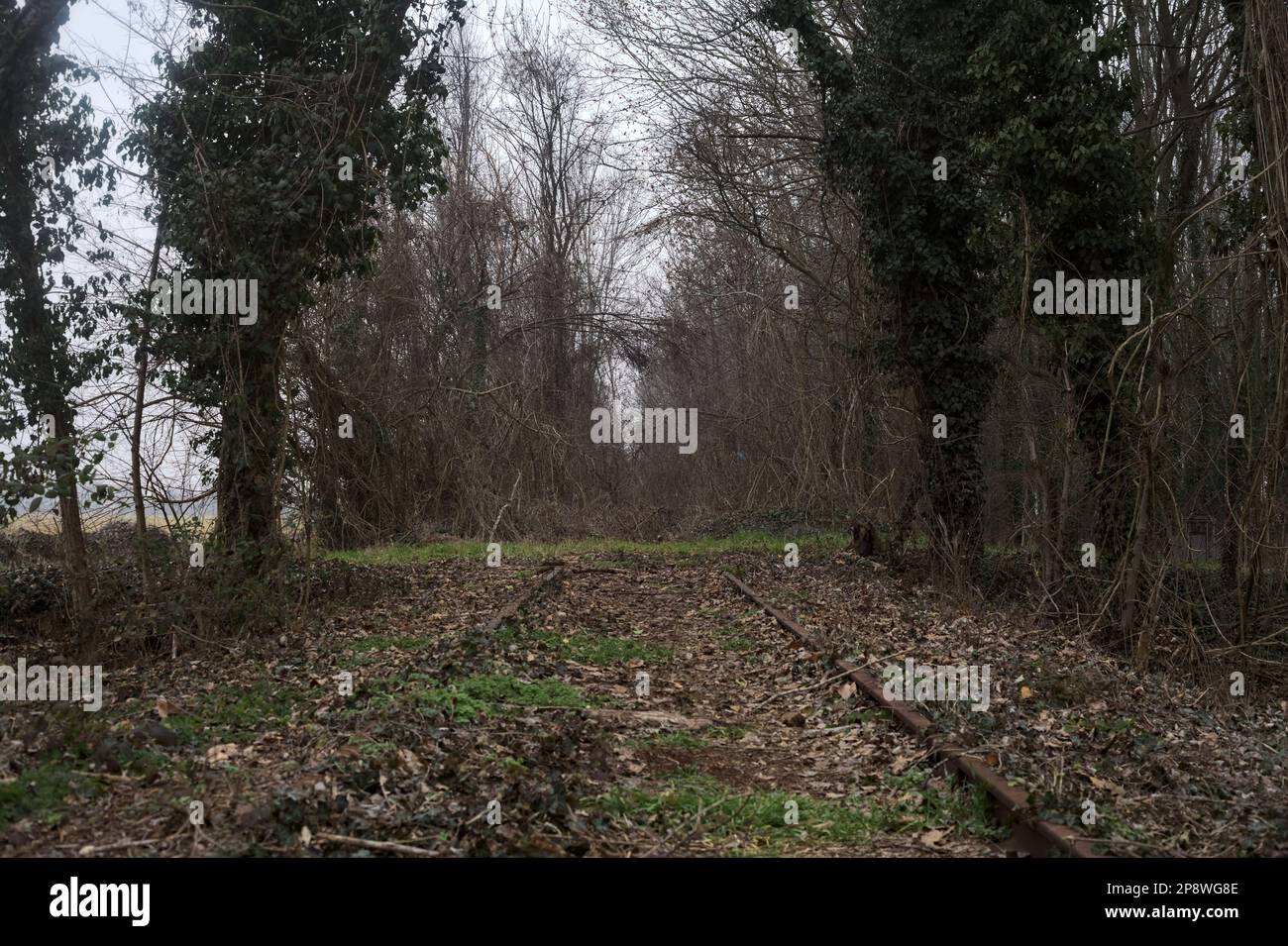 Dead end in a grove of an abandoned railroad track in the italian ...