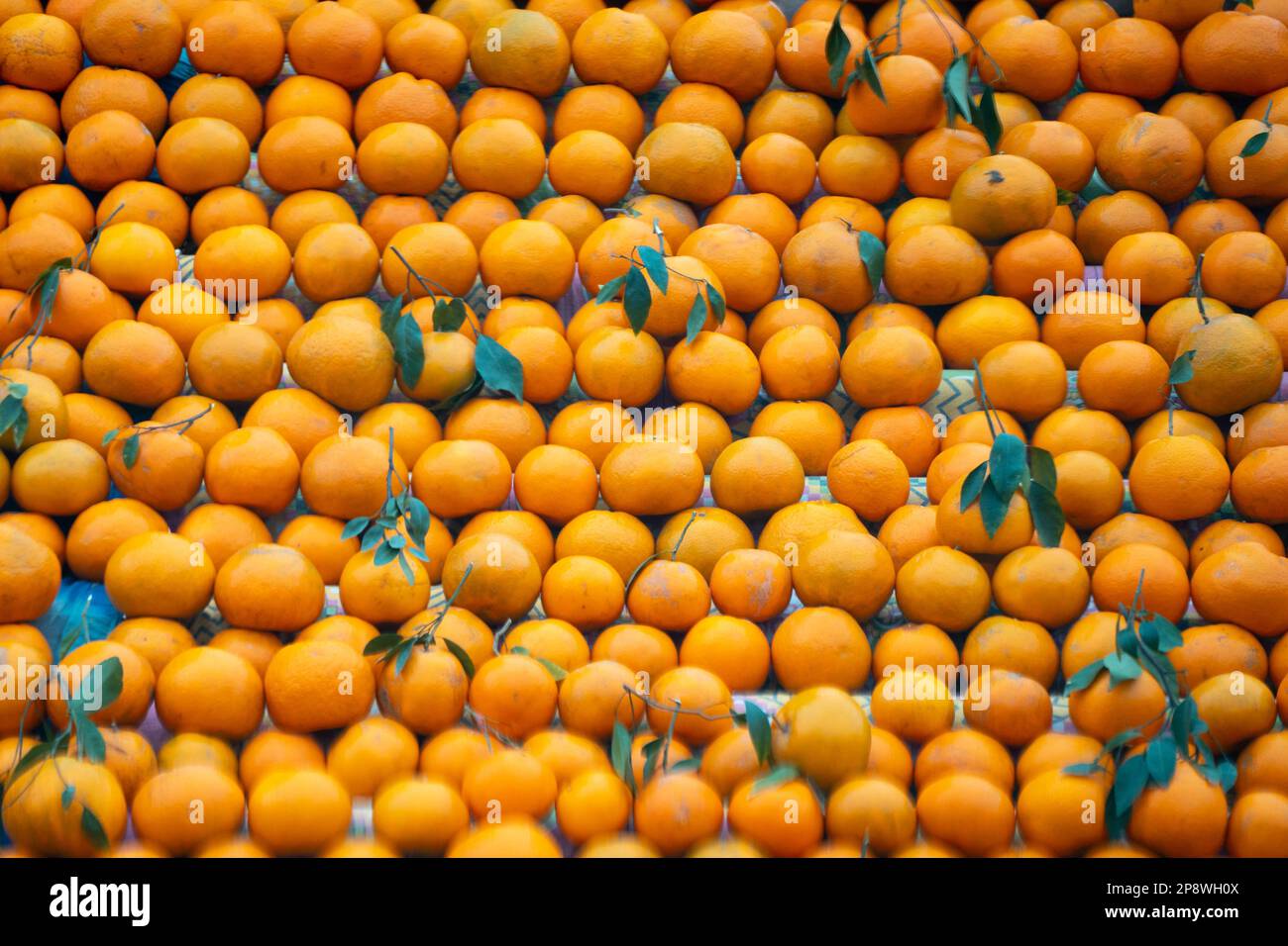 oranges kinnu citrus fruit piled up at a roadside stall showing how ...