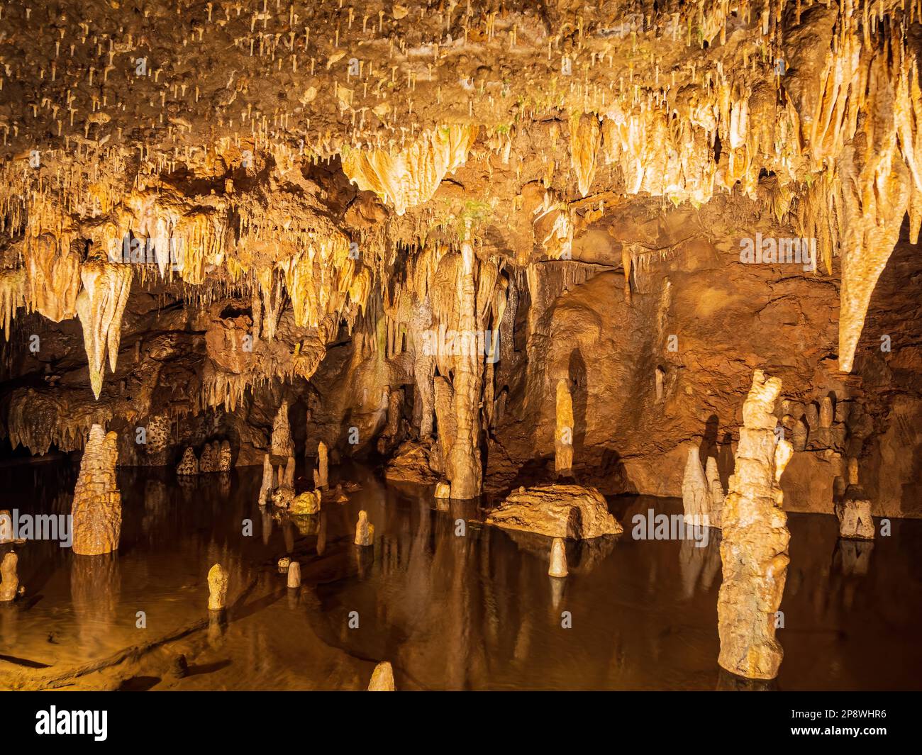 Interior view of the Meramec Caverns at Missouri Stock Photo - Alamy