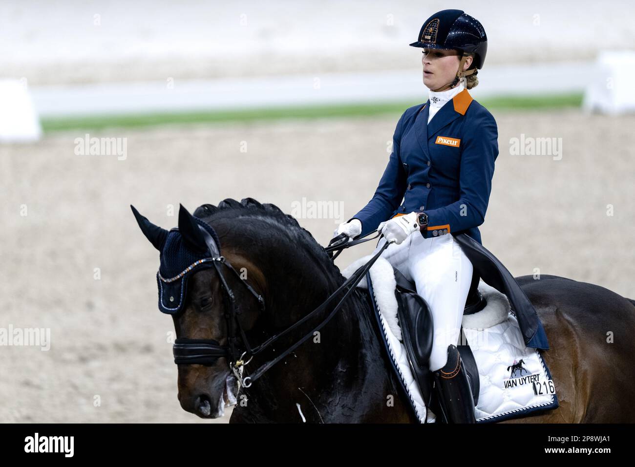 DEN BOSCH - Dinja van Liere (NED) on Hermes NOP during the World Cup ...