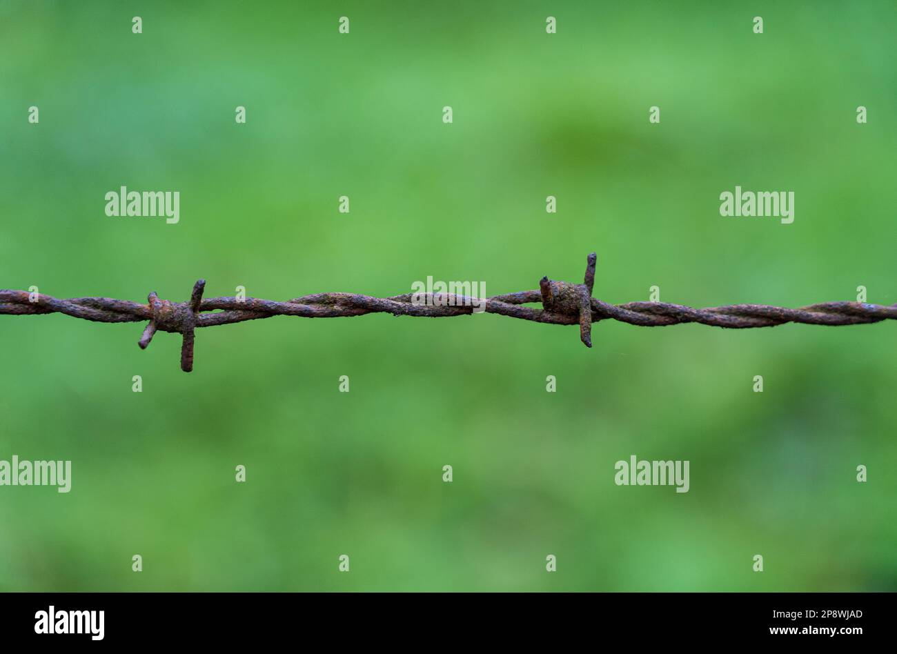 A barbed wire fence along the green field Stock Photo - Alamy