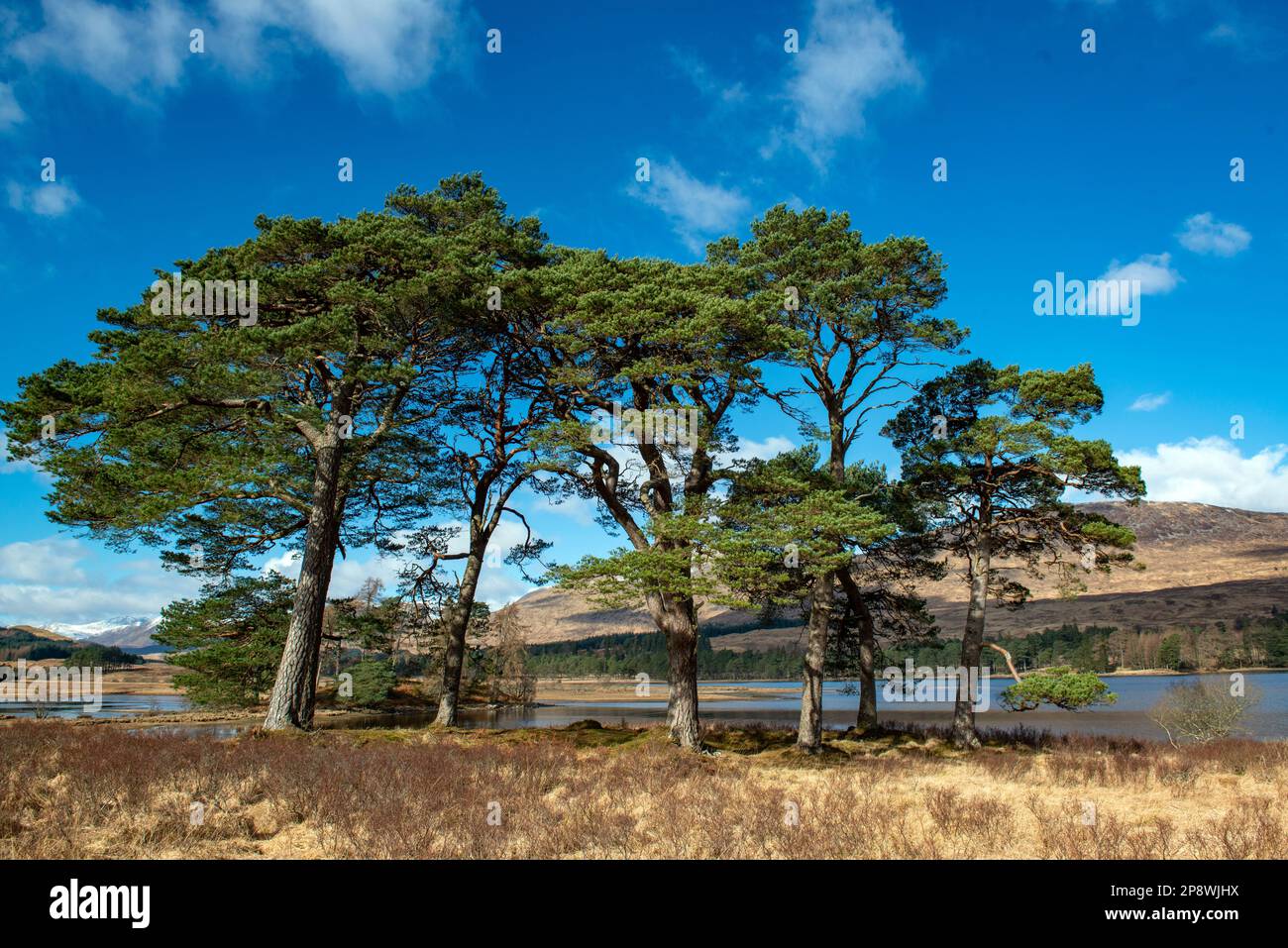 Glen orchy hi-res stock photography and images - Alamy
