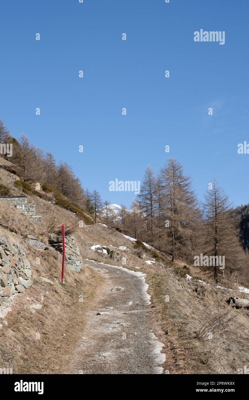 The hiking trail to Sunnegga from Zermatt, Switzerland, with pink pole ...