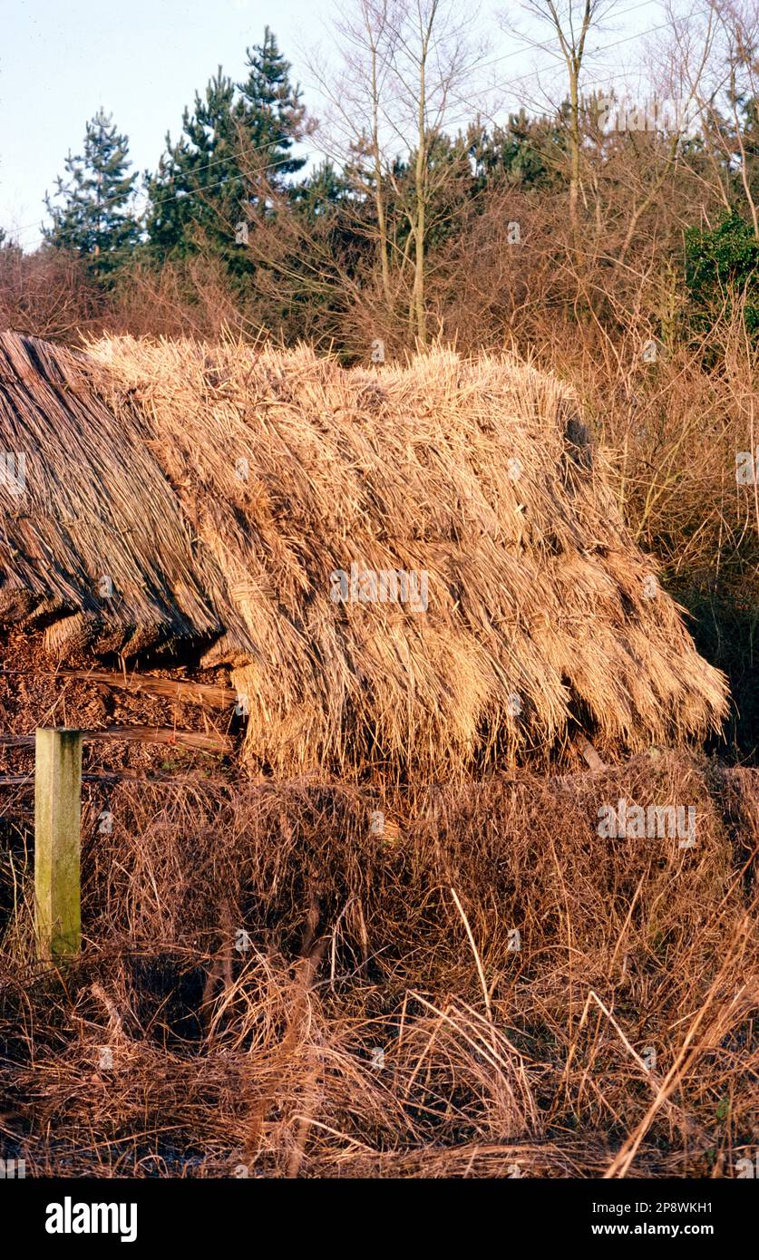 Upright shape hi-res stock photography and images - Alamy