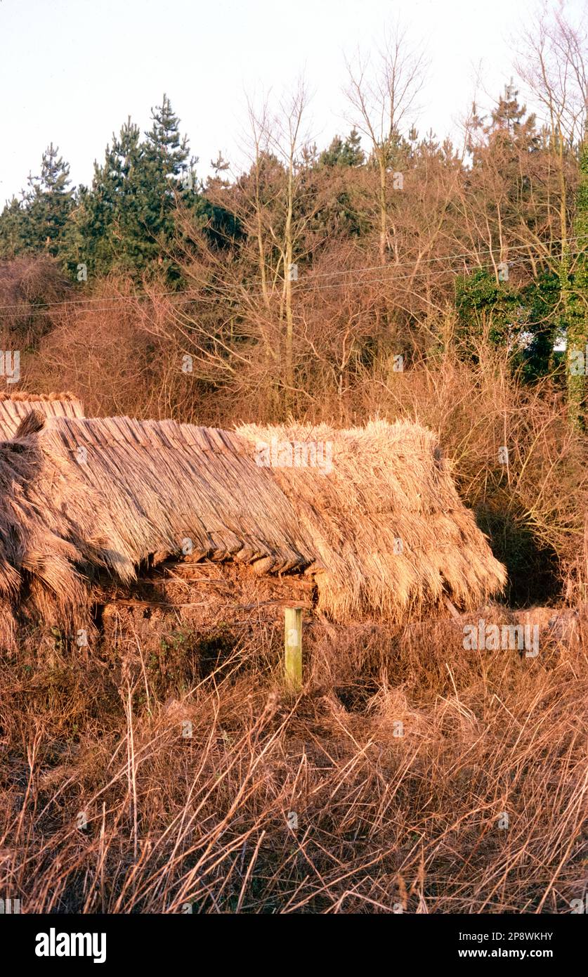 Upright shape hi-res stock photography and images - Alamy