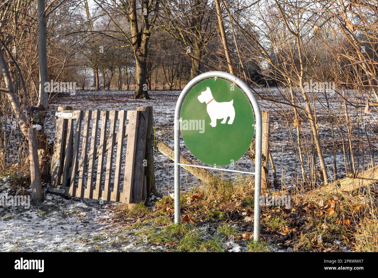A sign that says loose dog only with accompanied in Danish. Dog walking ...